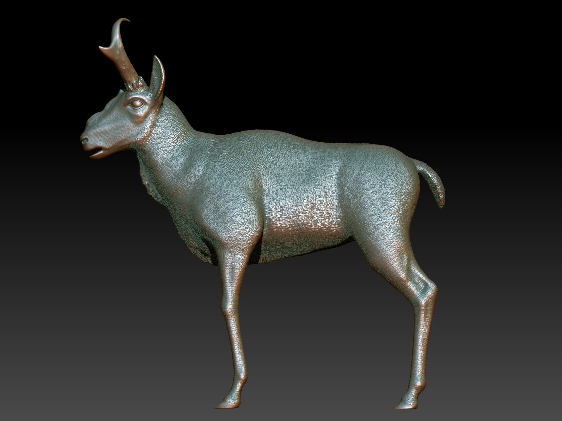 Mike Correia - Pronghorn Model