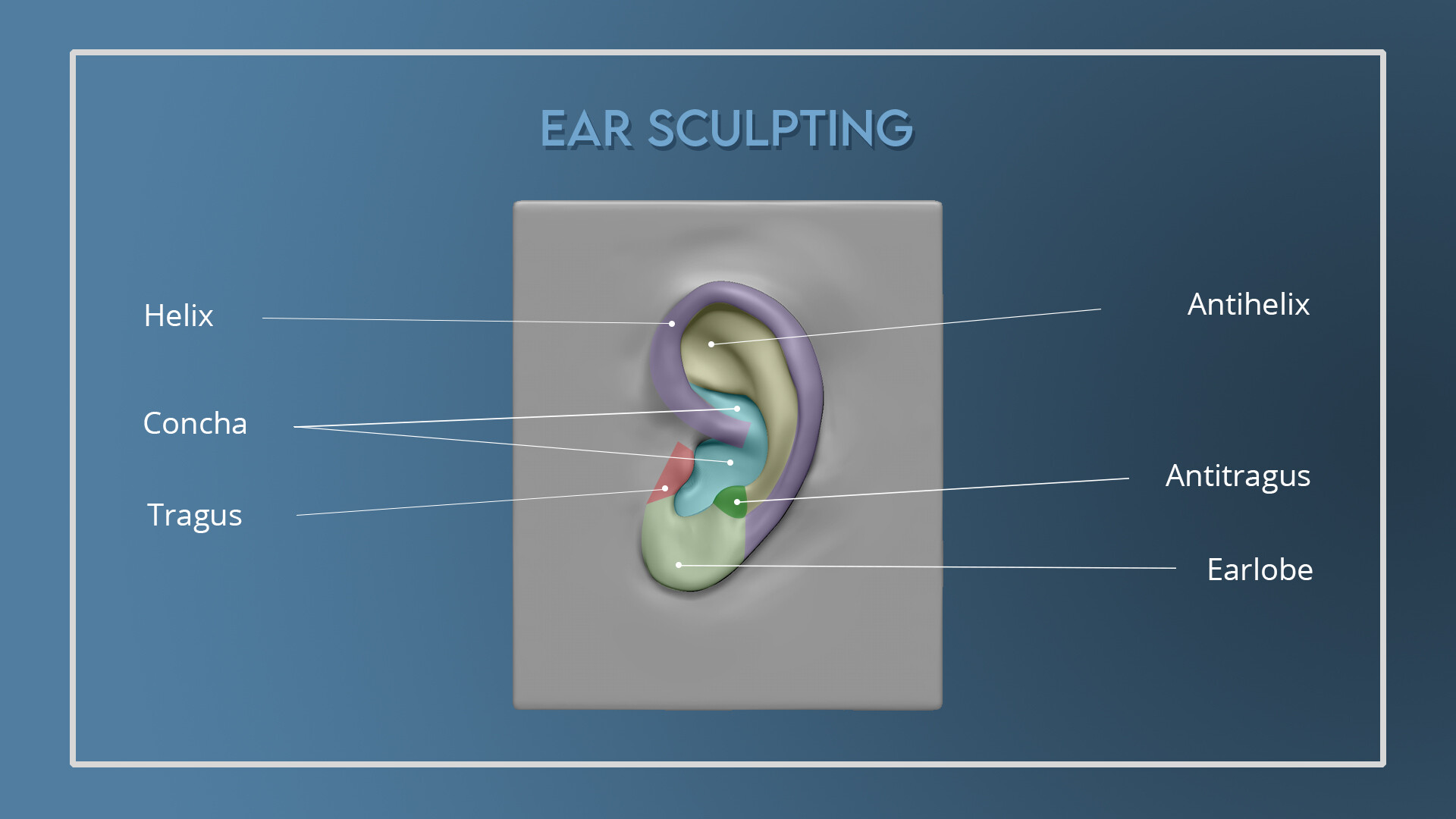 ArtStation - Ear - Sculpting by Sumana Ghosh