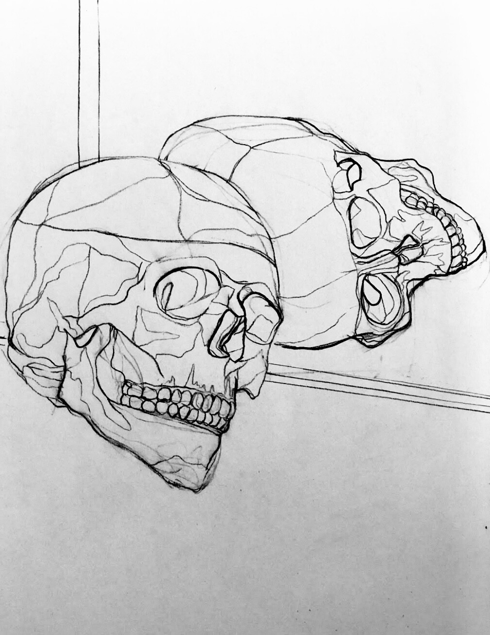 Mica - Graphite Sketches