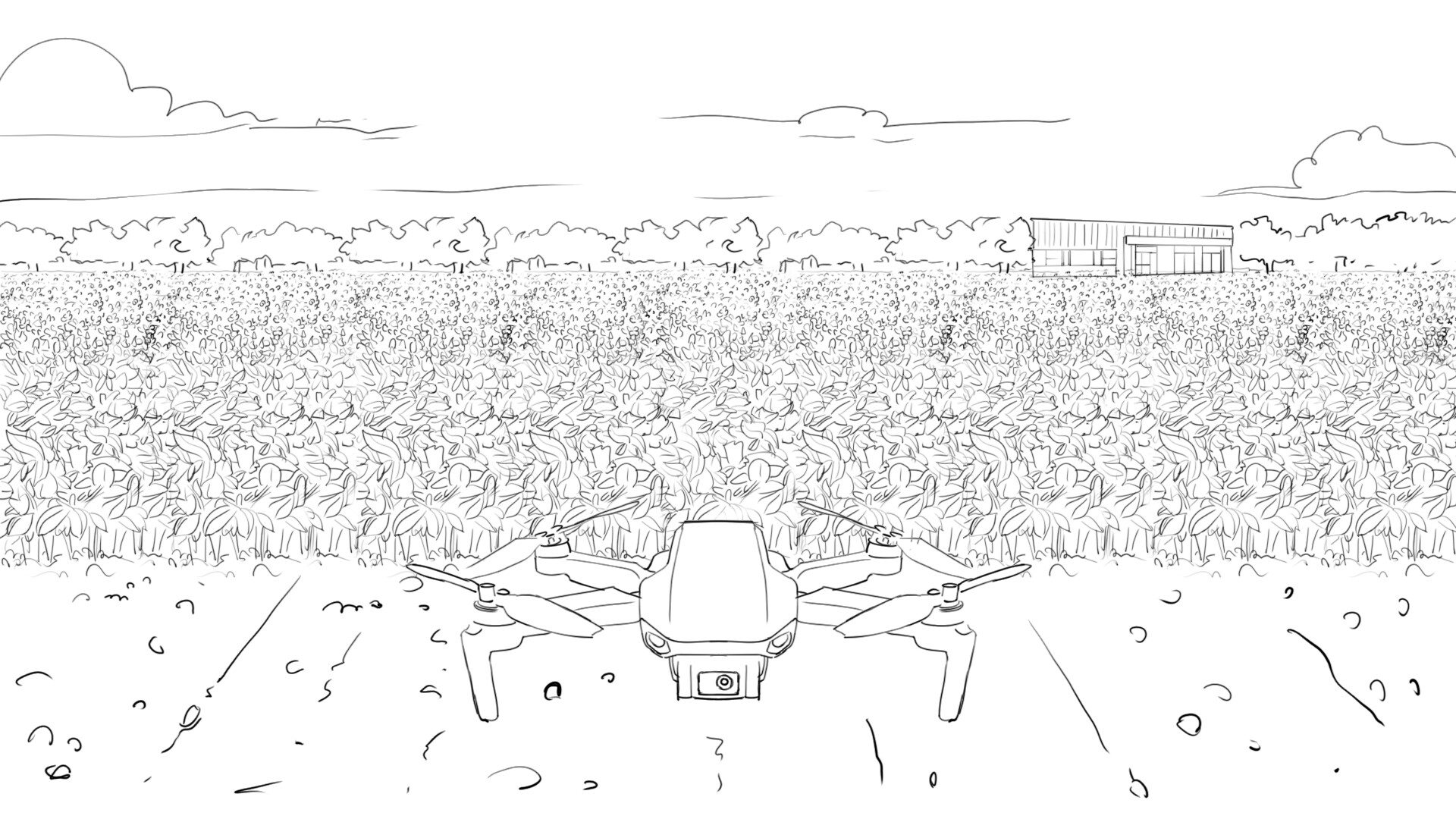 ArtStation - story publicidad