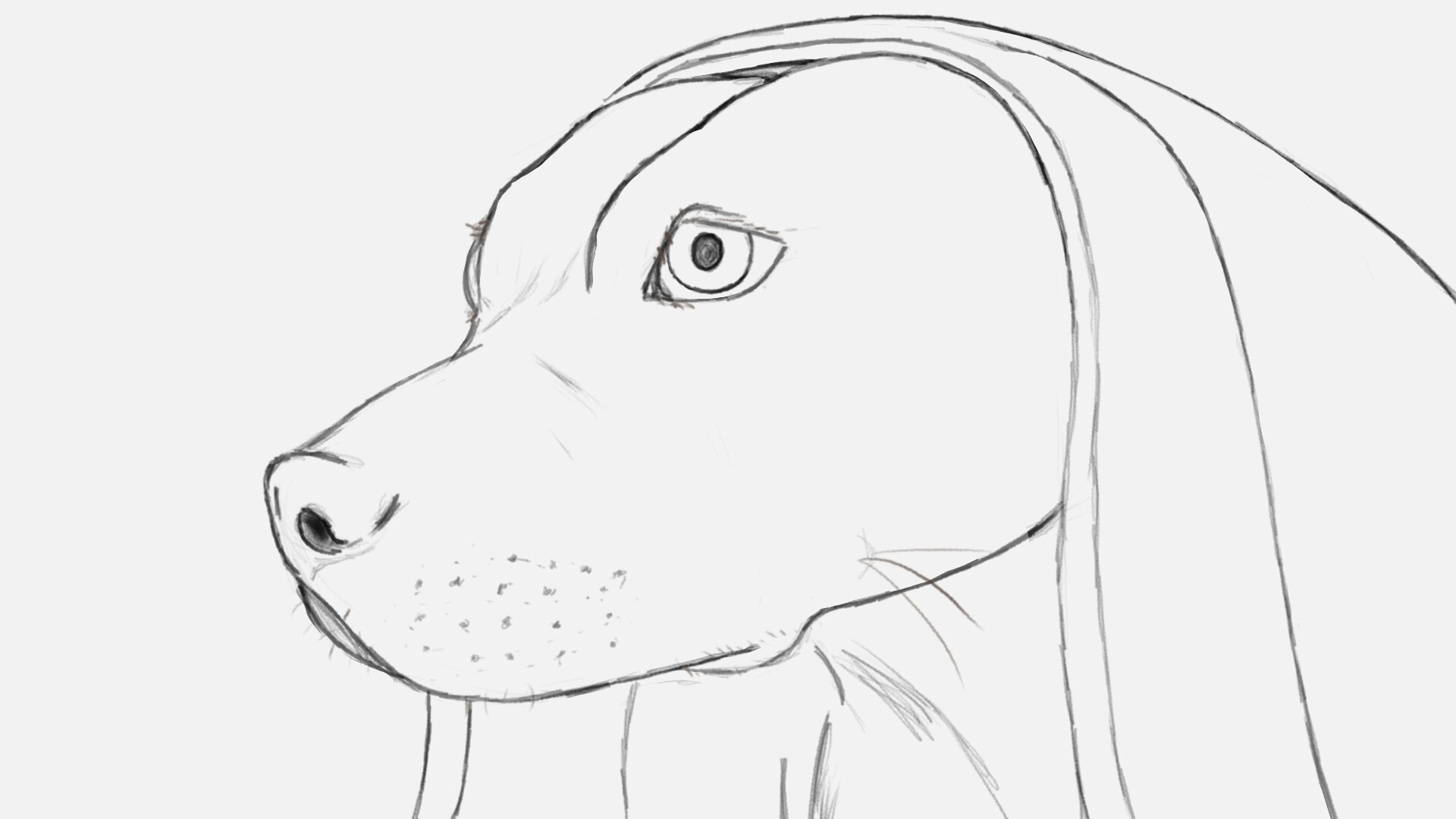 ArtStation - Amara Drawing