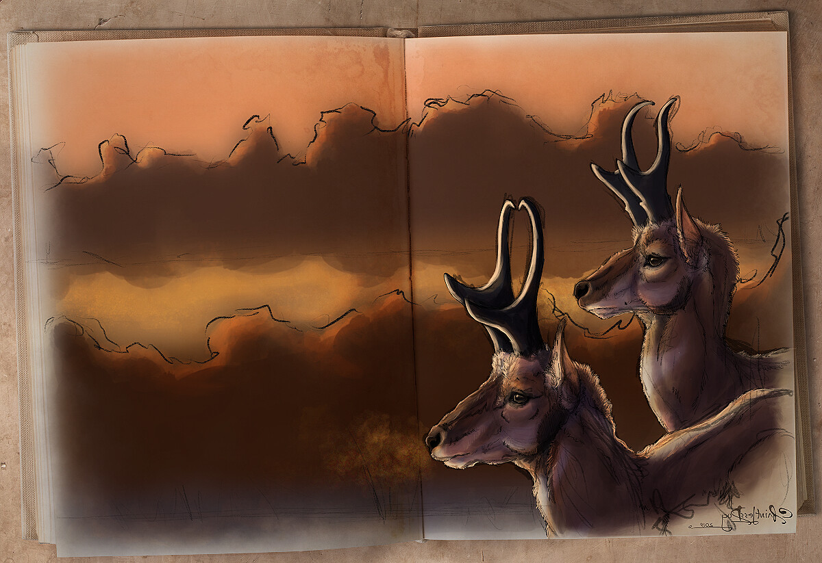 ArtStation - Breath of Colorado - Pronghorns