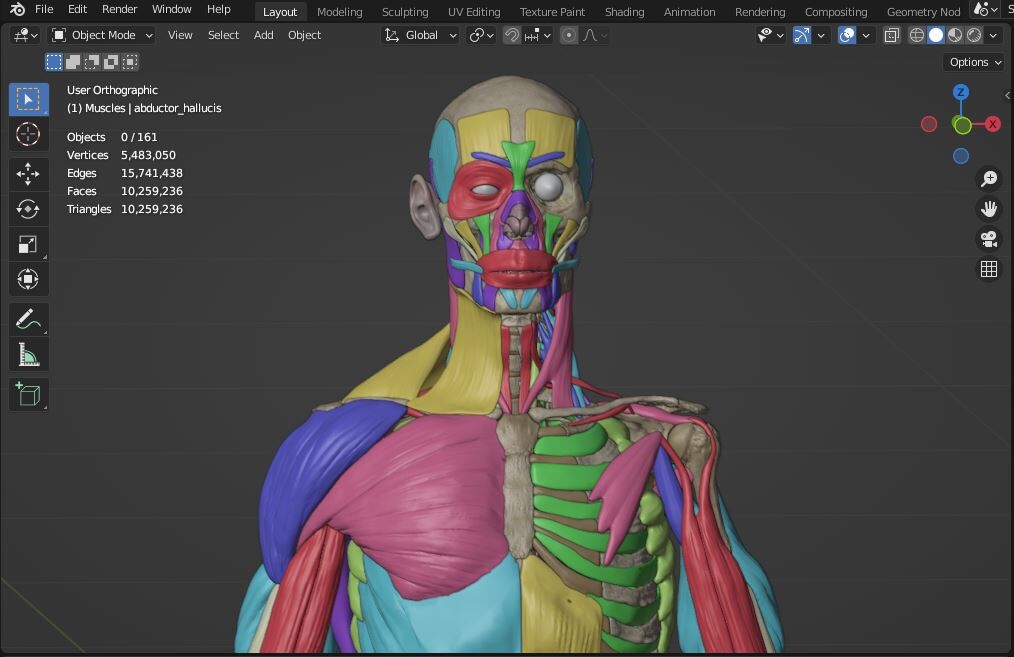 ArtStation - Blender Anatomy Sculpting Tutorials - Are You Ready??