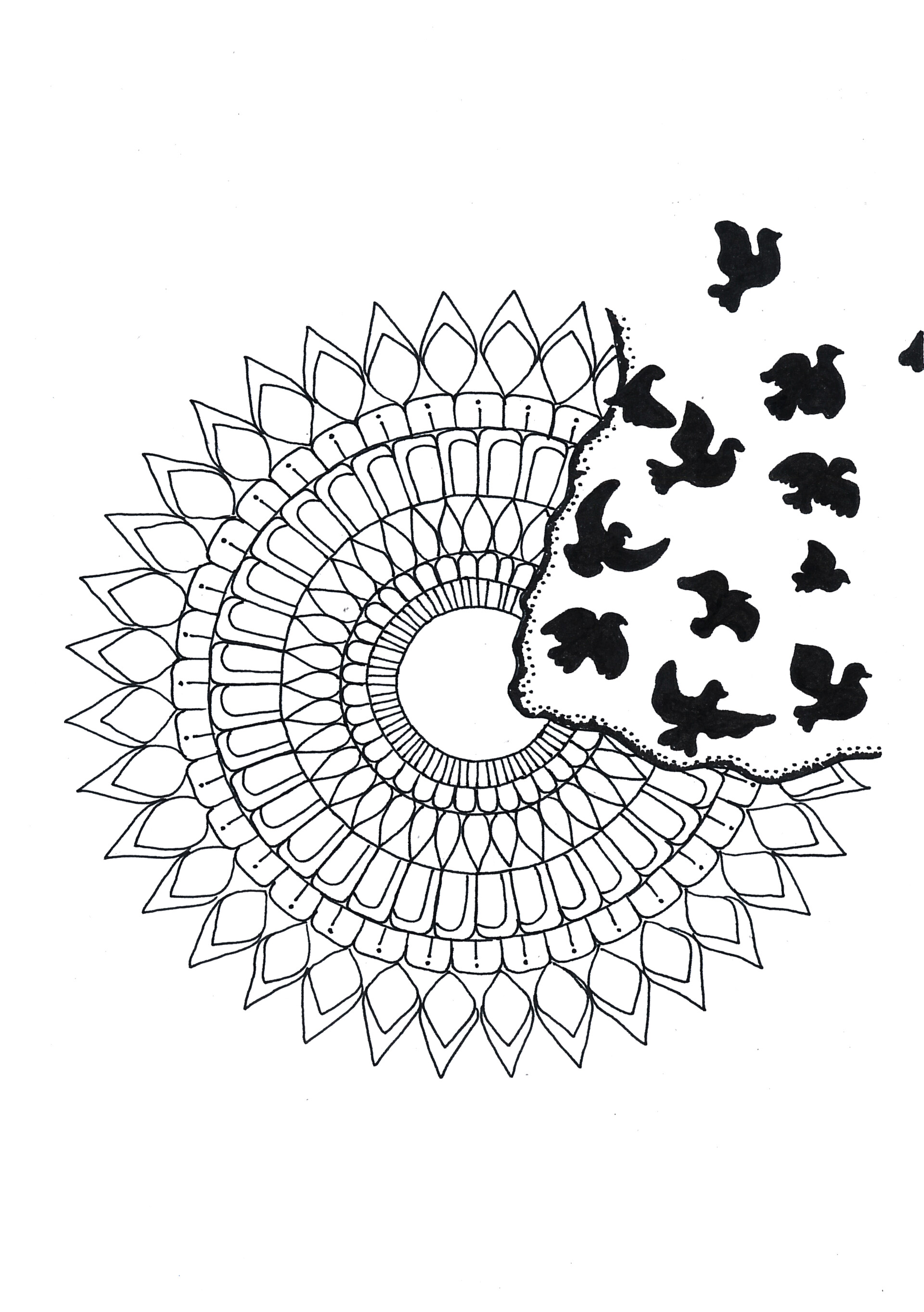 ArtStation - Mandala circle - Birds