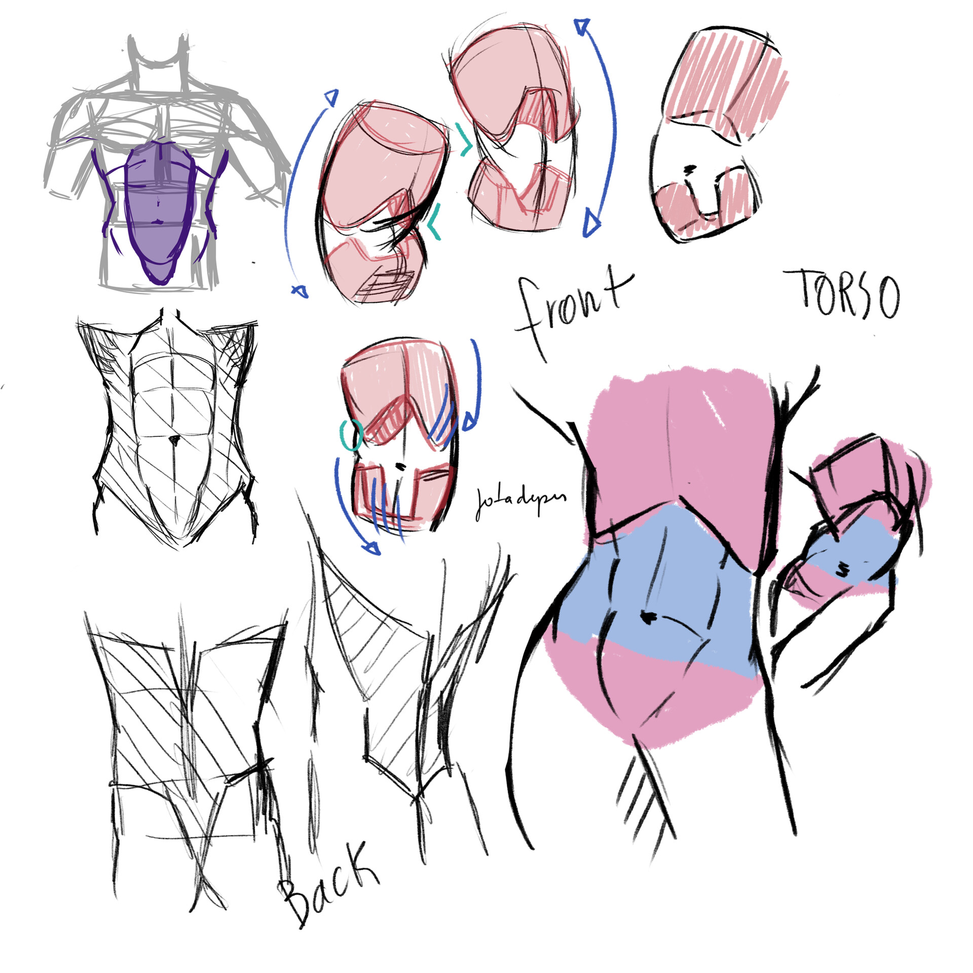 ArtStation - torso studies