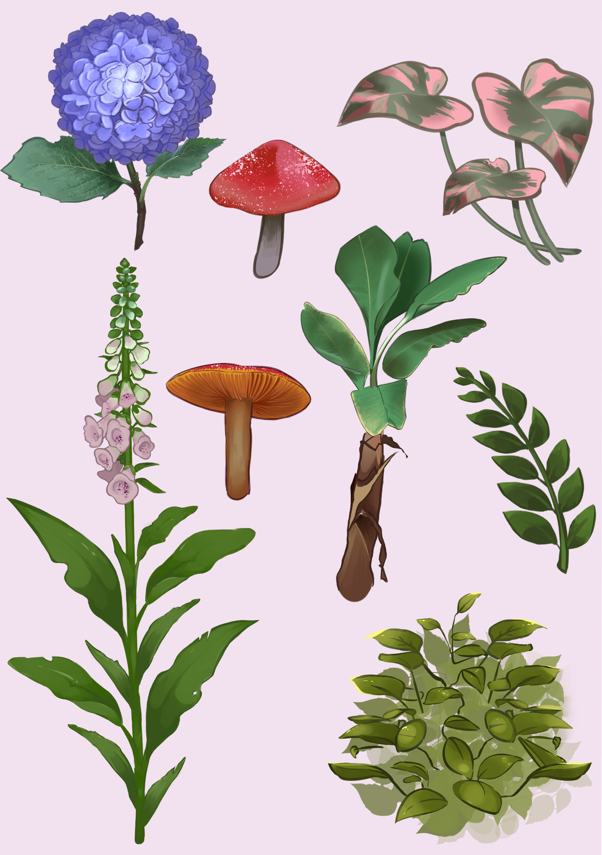 ArtStation - Organic Environment Assets #2 - HNYP