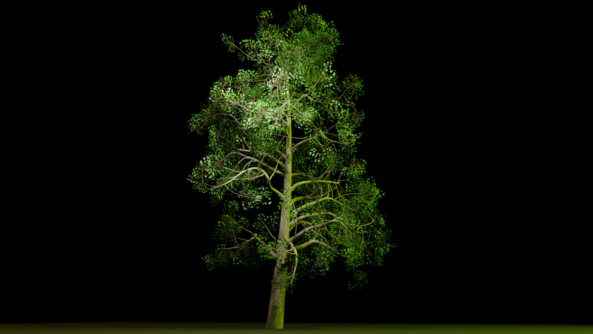 ArtStation - Tree Model
