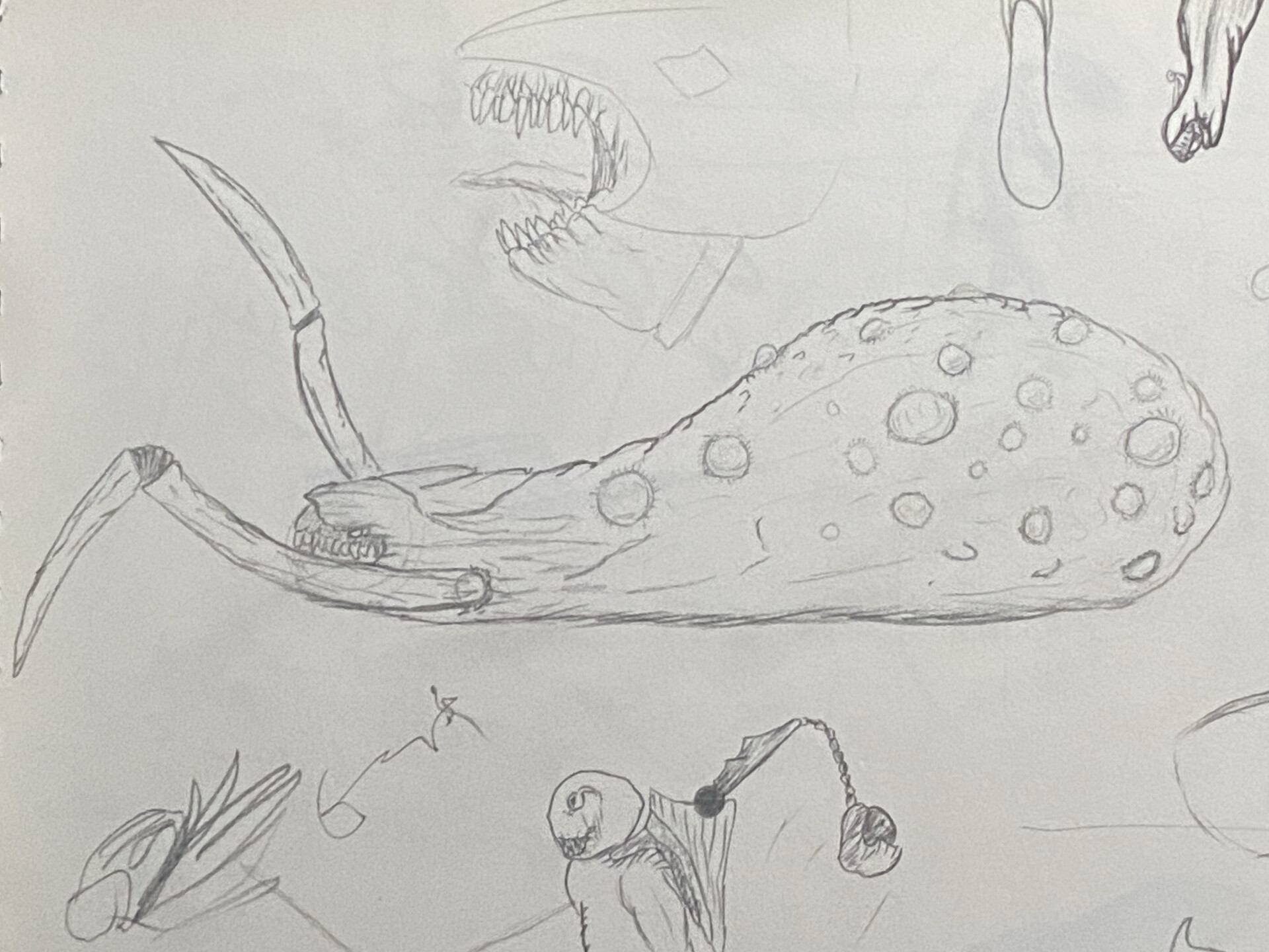 ArtStation - Creature sketch