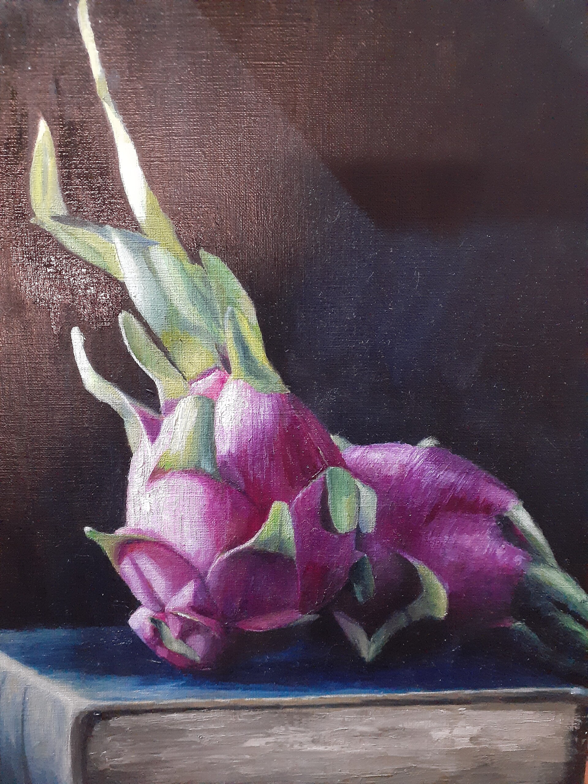 ArtStation - Dragonfruit