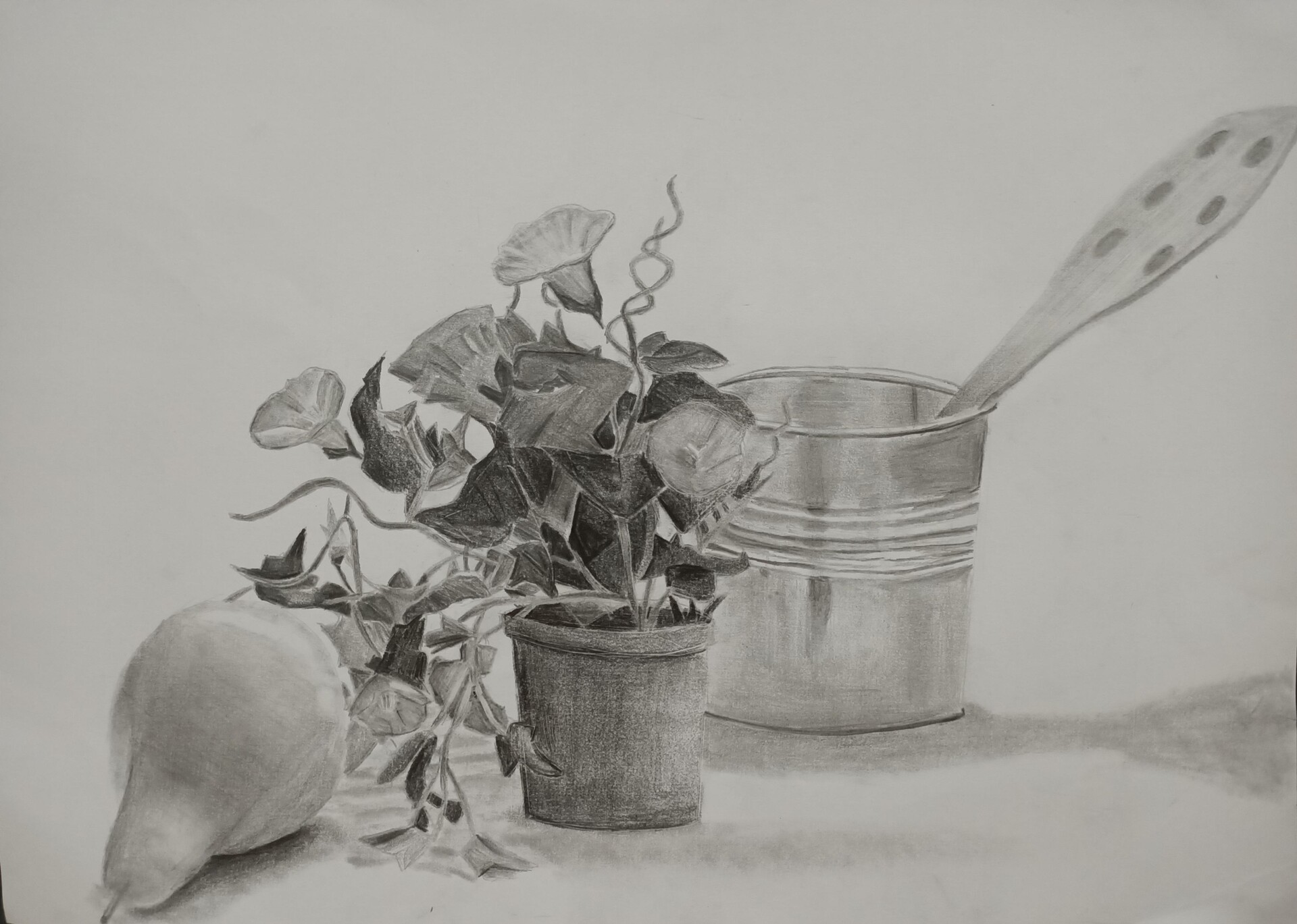 ArtStation - Still Life Drawing