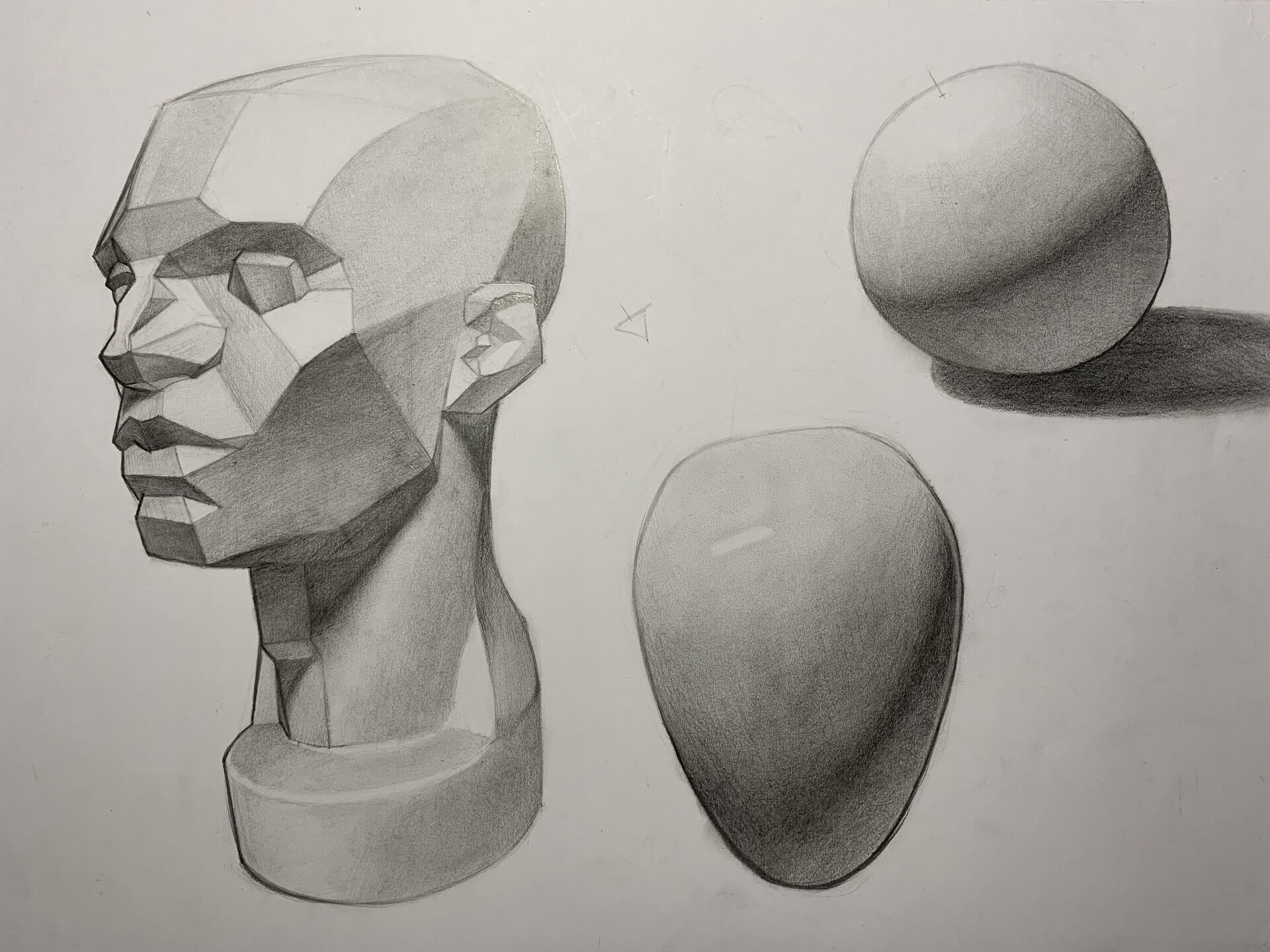 ArtStation - Head and shading study