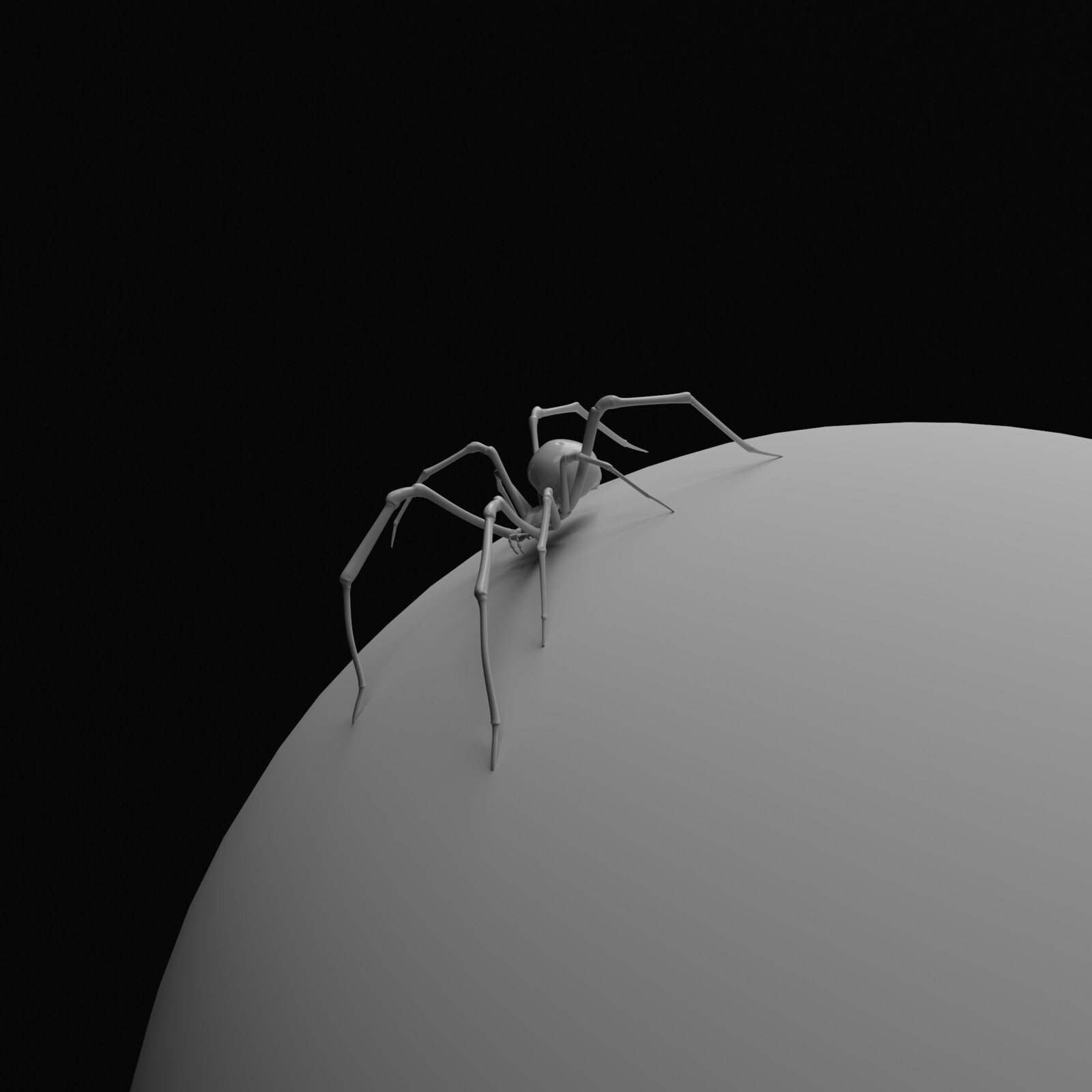 Alvar - Latrodectus mactans