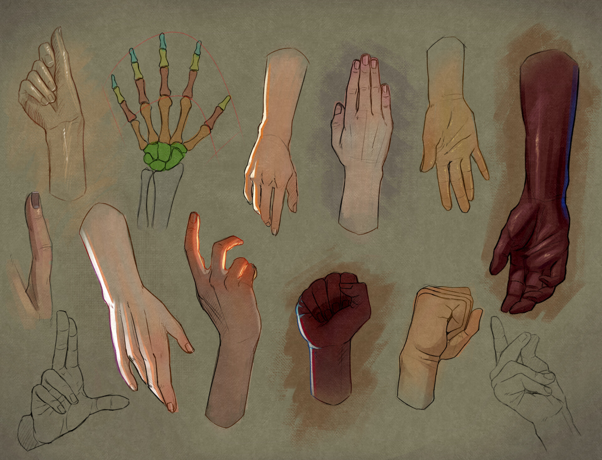 ArtStation - Hand Anatomy Study