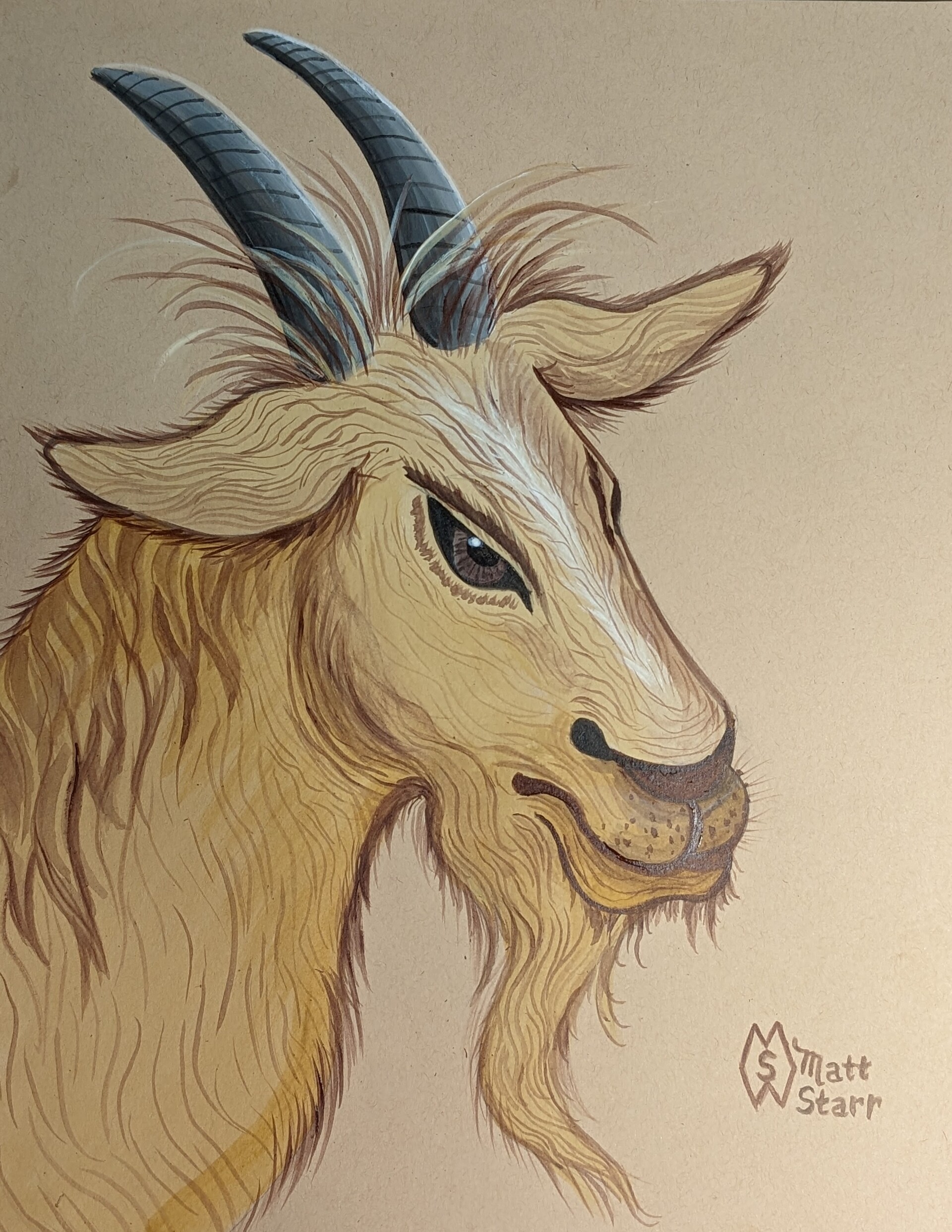 ArtStation - The Tough Billy Goat