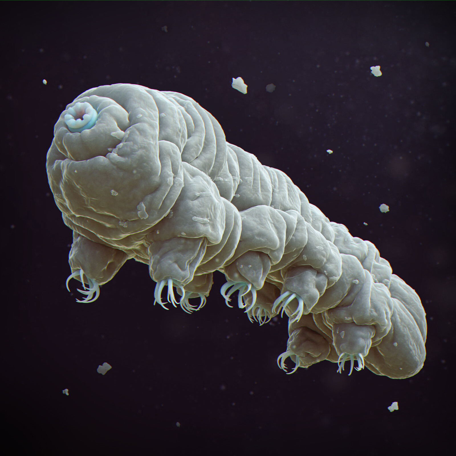 ArtStation - Micro-monster