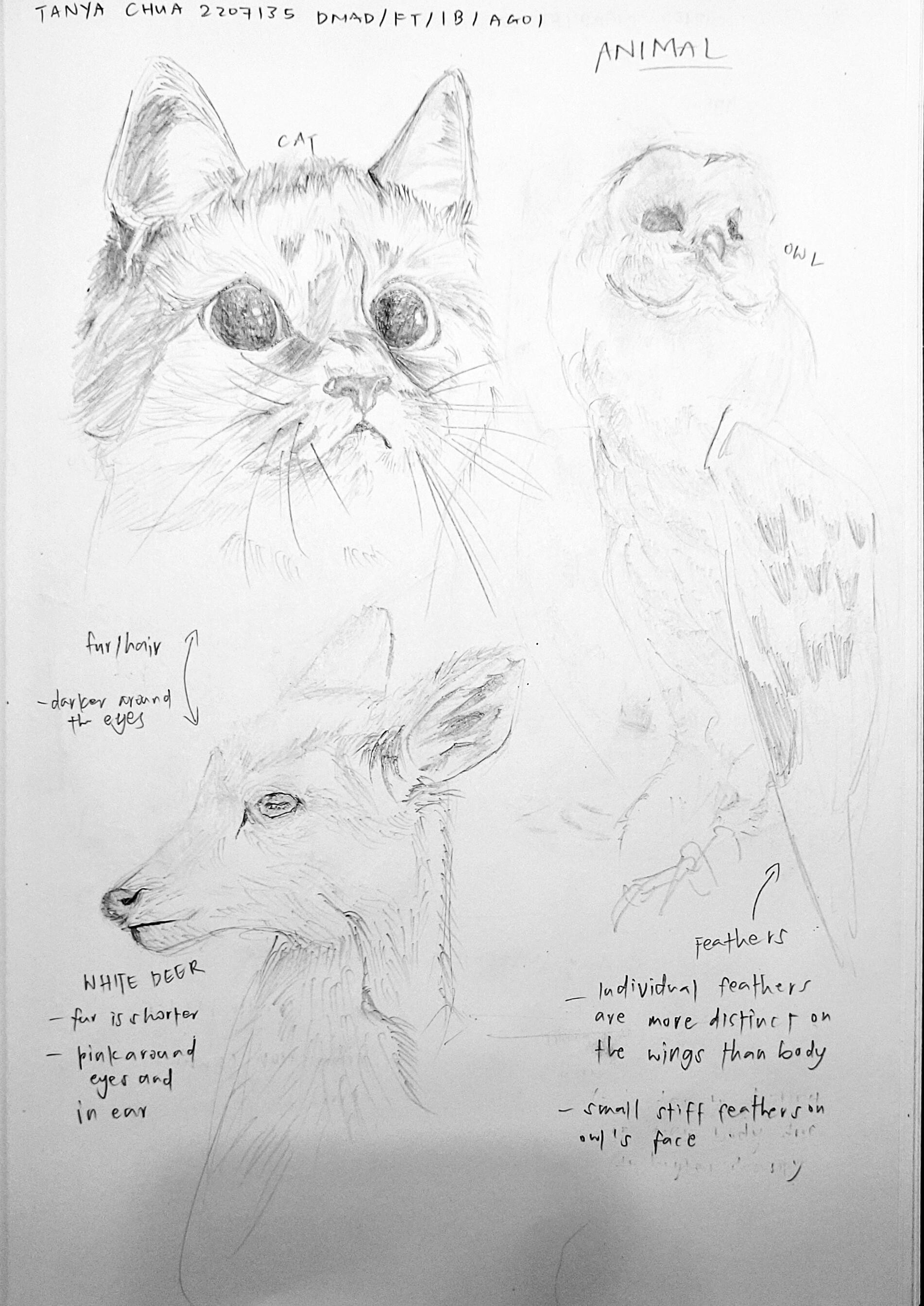 ArtStation - Texture studies