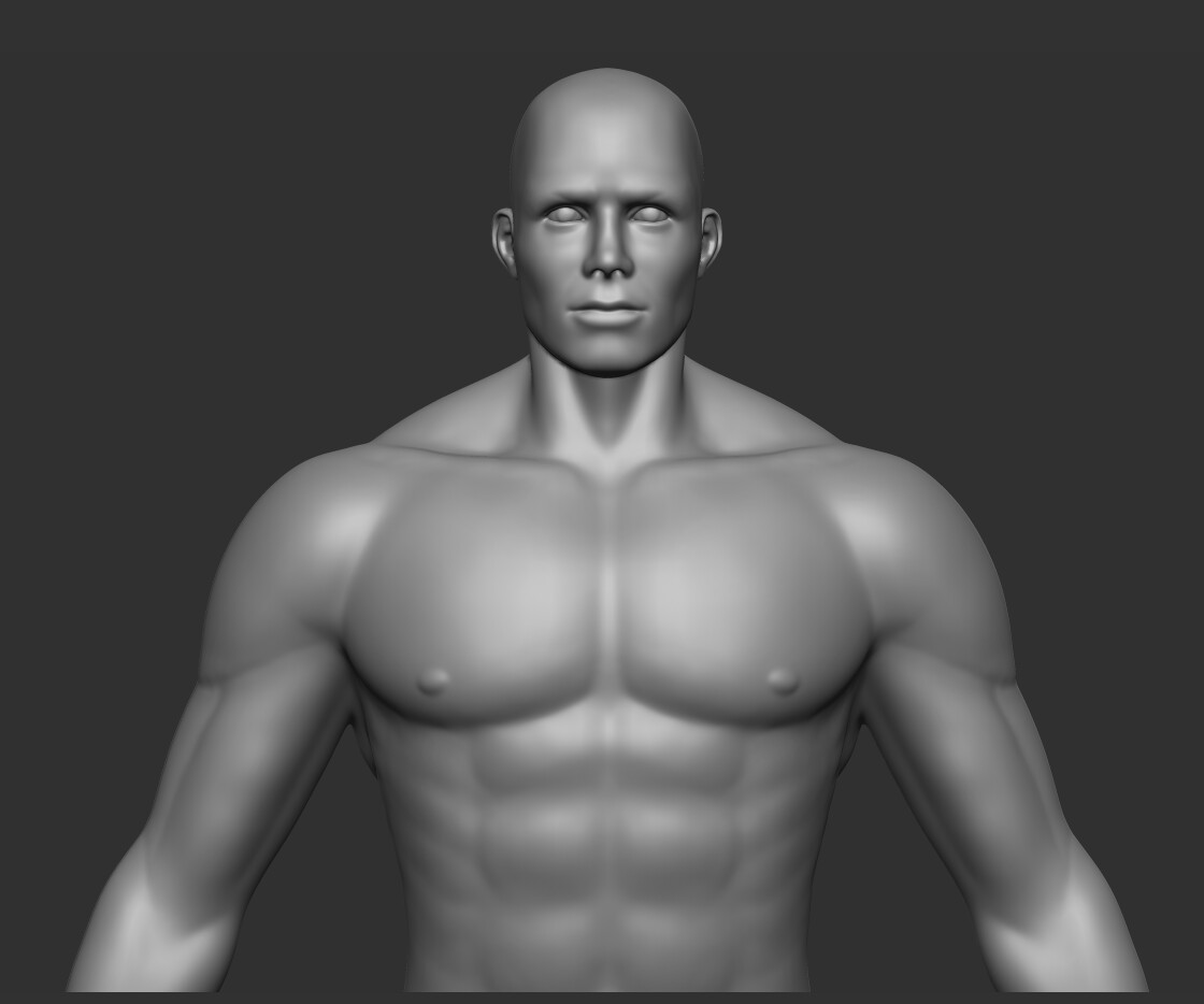 ArtStation - Anatomy