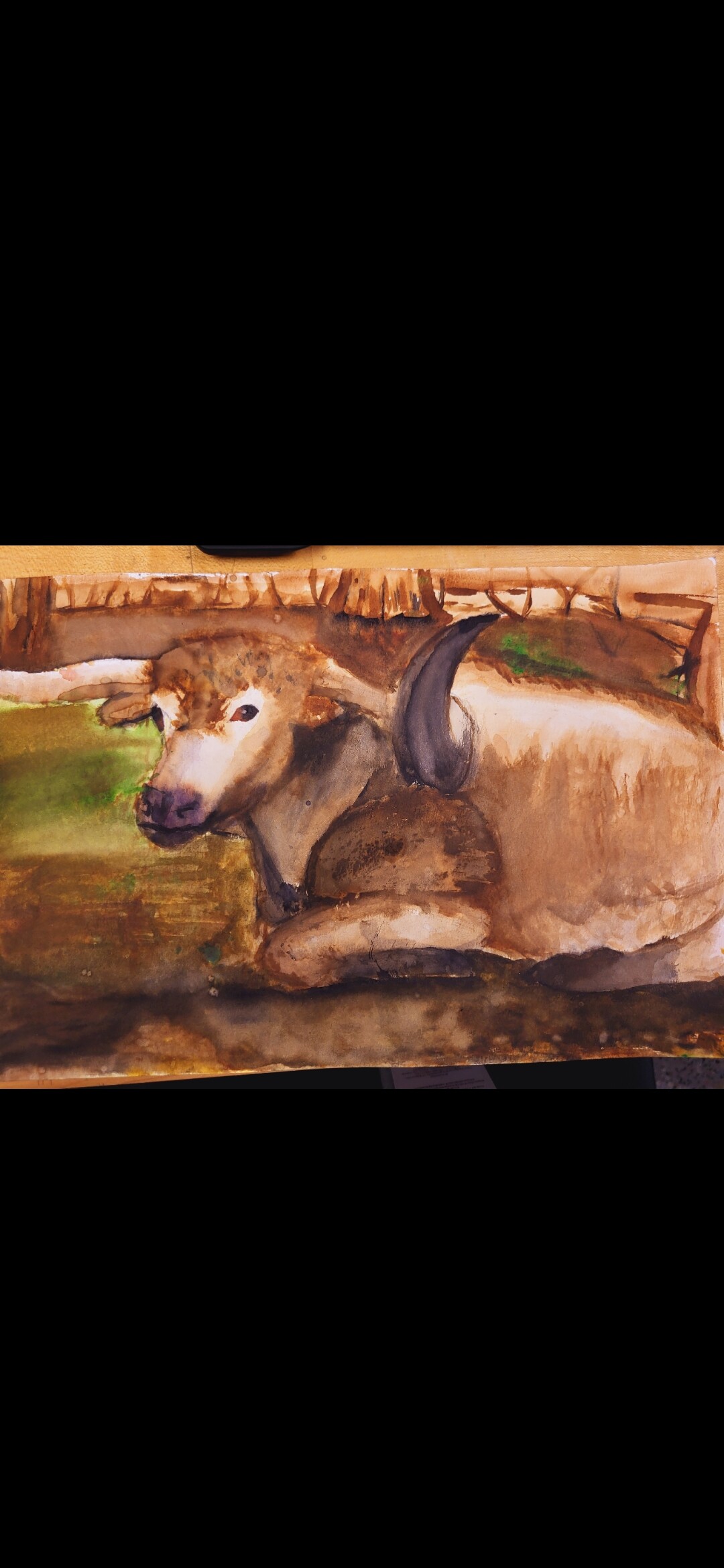 ArtStation - Rodeo art