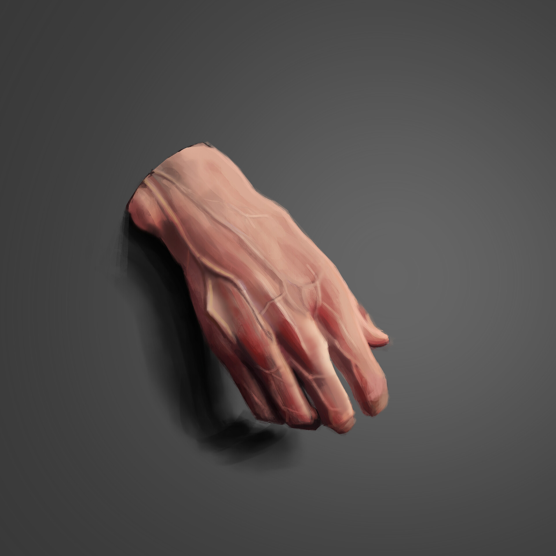 ArtStation - Hand study
