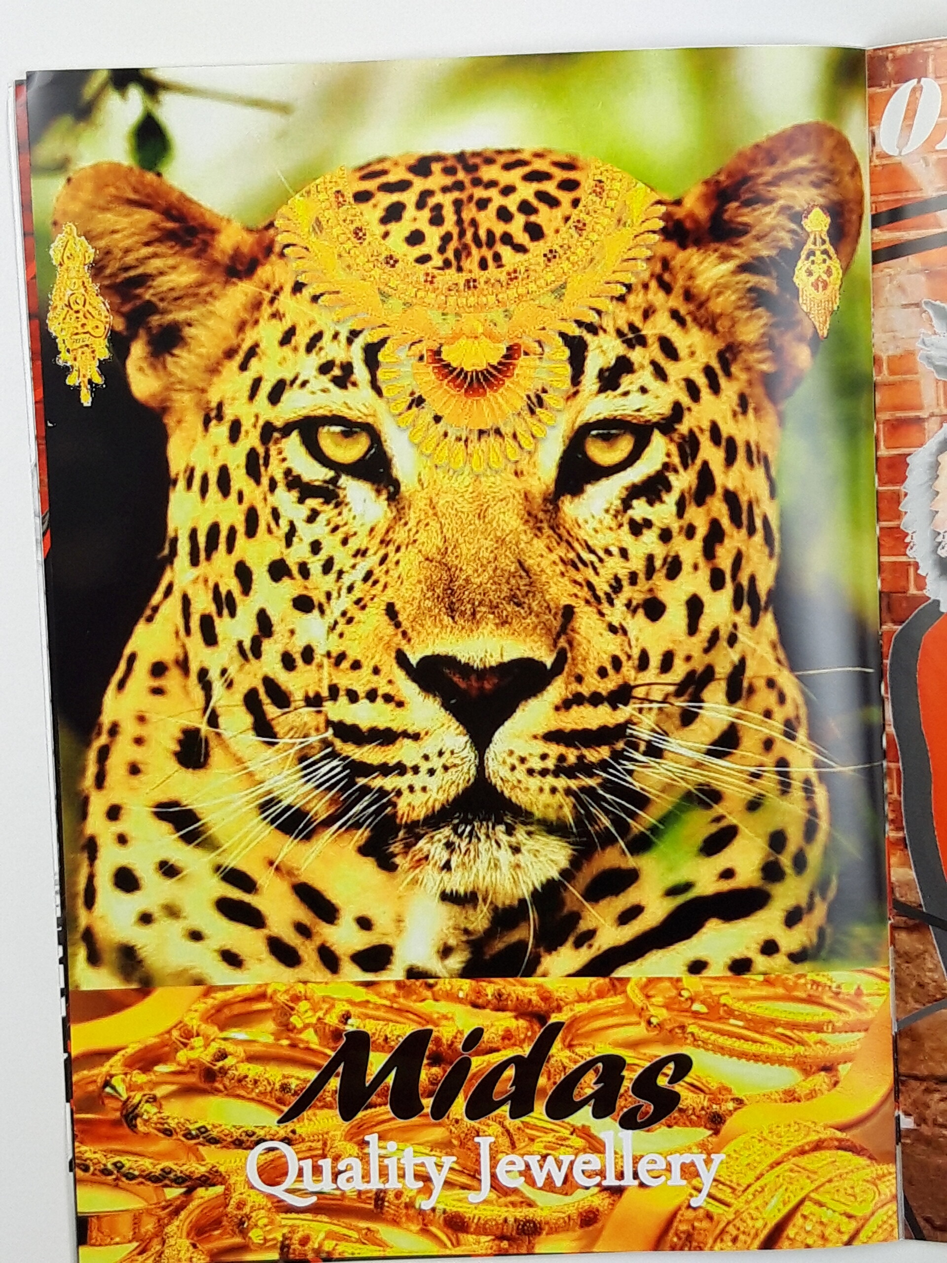 ArtStation - Urban Creatures