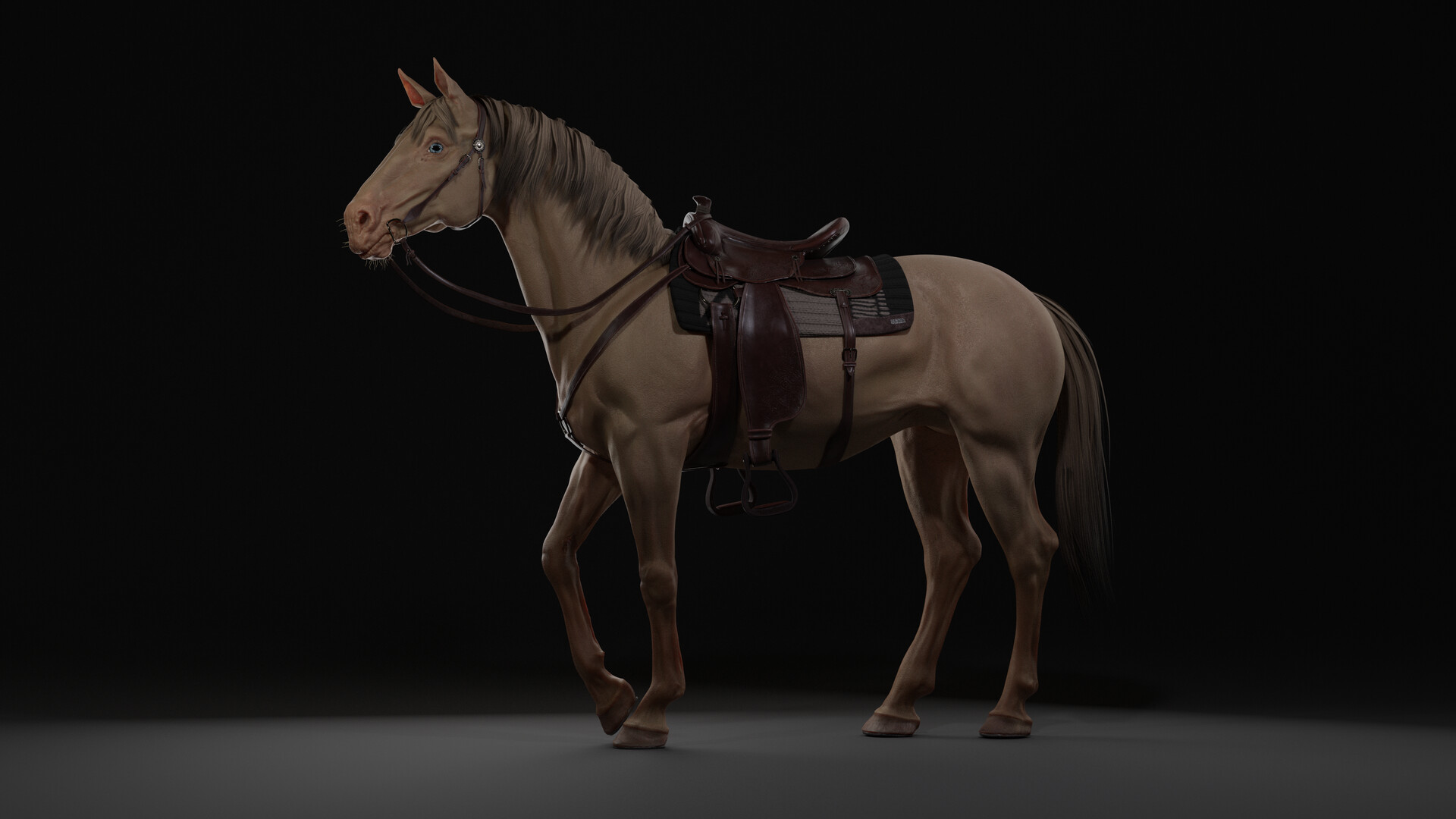 ArtStation - Horse - Callisto