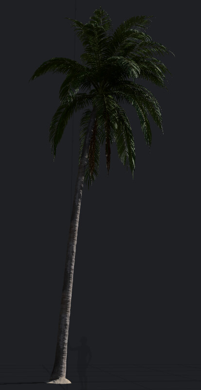 ArtStation - Coconut_Tree