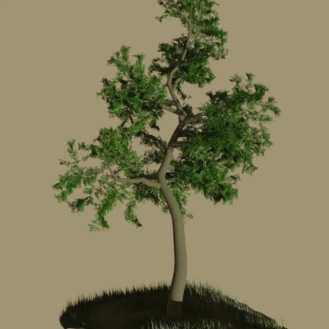 ArtStation - Procedural acacia tree