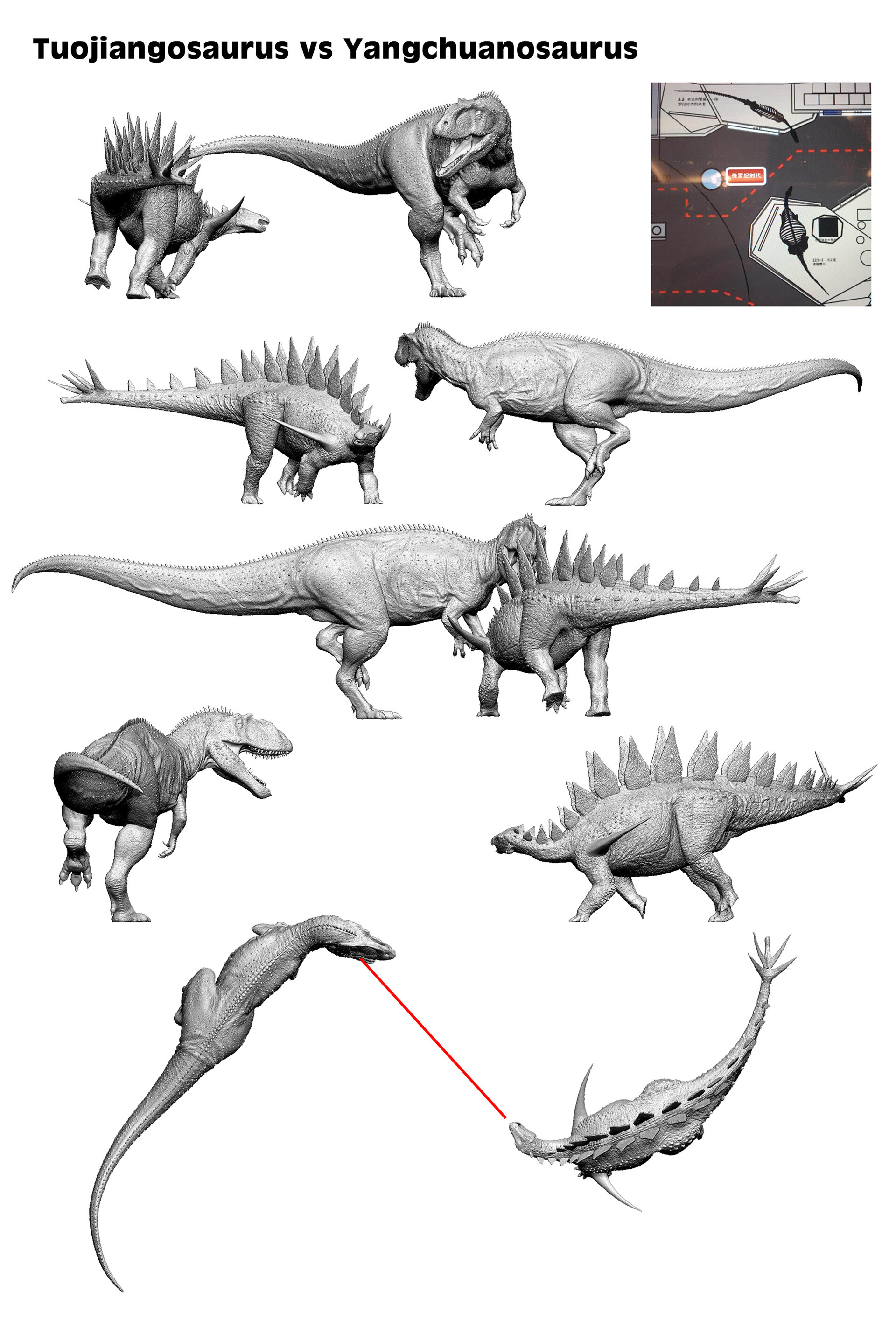Tuojiangosaurus Skeleton