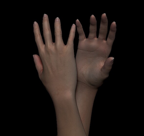 ArtStation - Zbrush Sculpting & 3D Modeling , Texturing - Human Hands