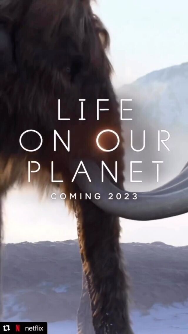 ArtStation - Life on Our Planet