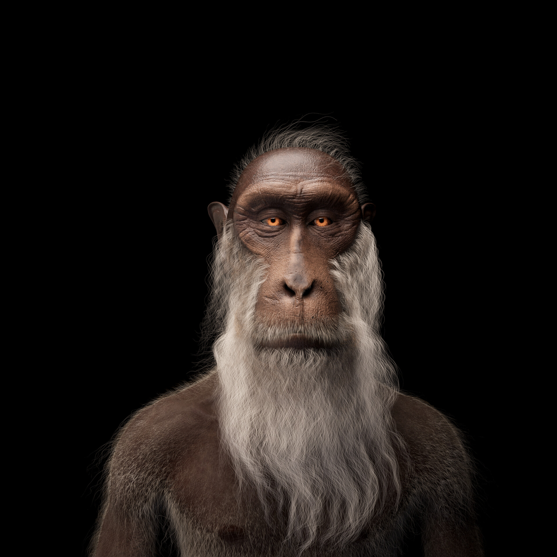 ArtStation - Macaque / Sage