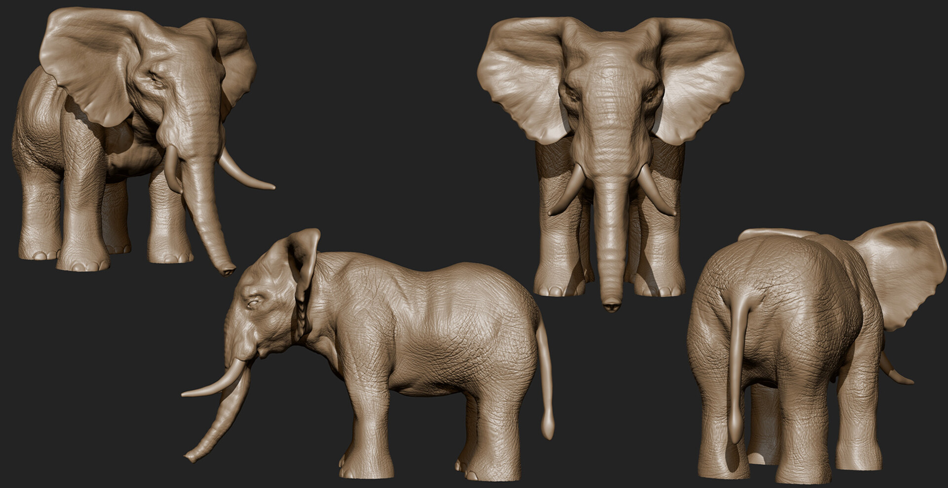ArtStation - Elephant -Z
