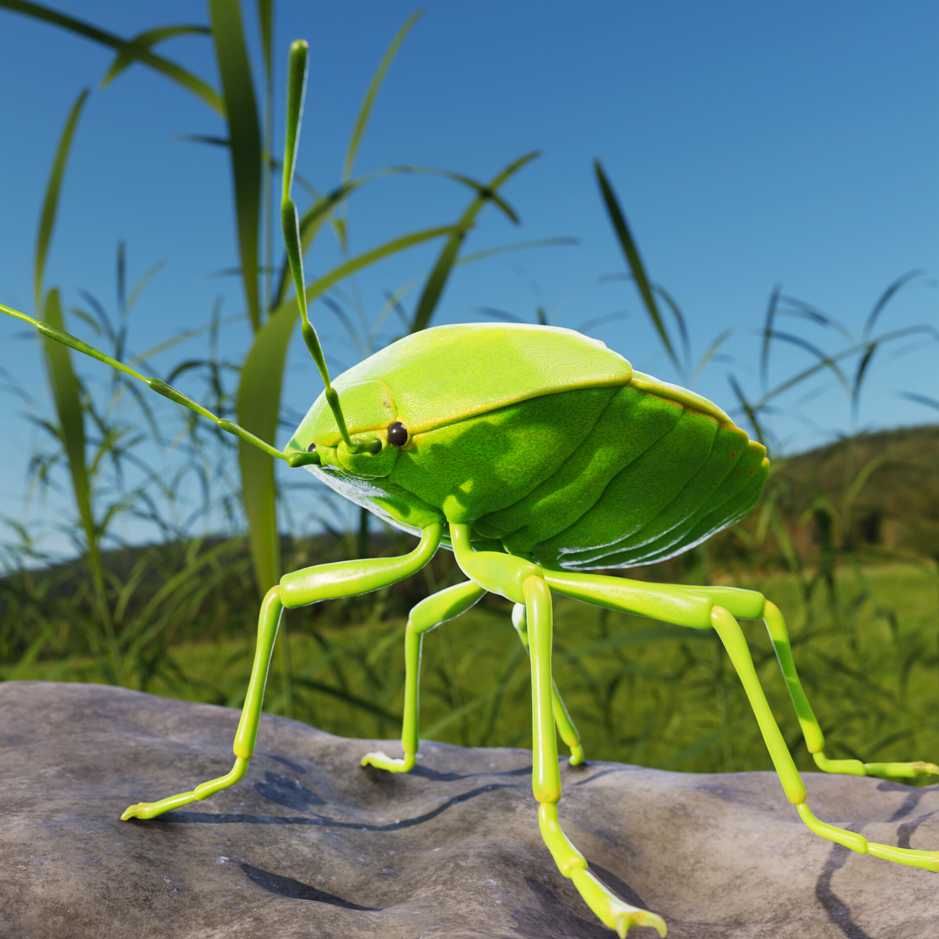 ArtStation - Sculpt January 03: Insect
