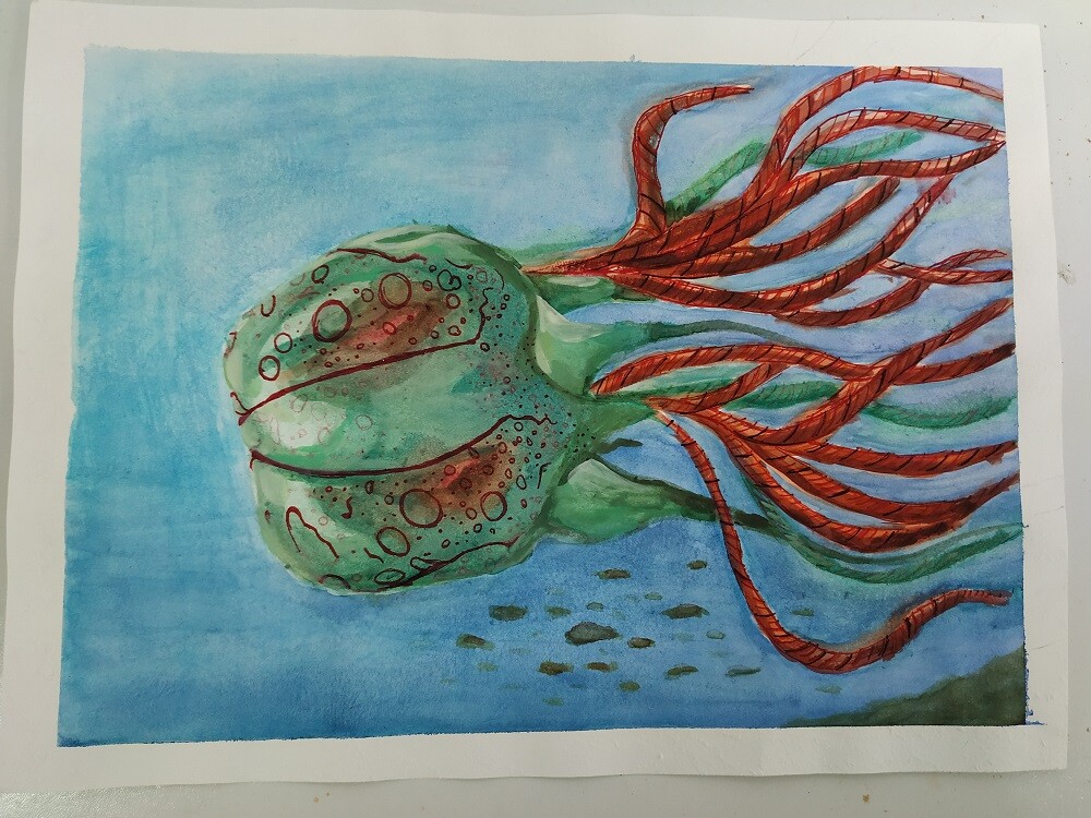 ArtStation - Jellyfish (Chirodectes Maculatus) on Watercolor