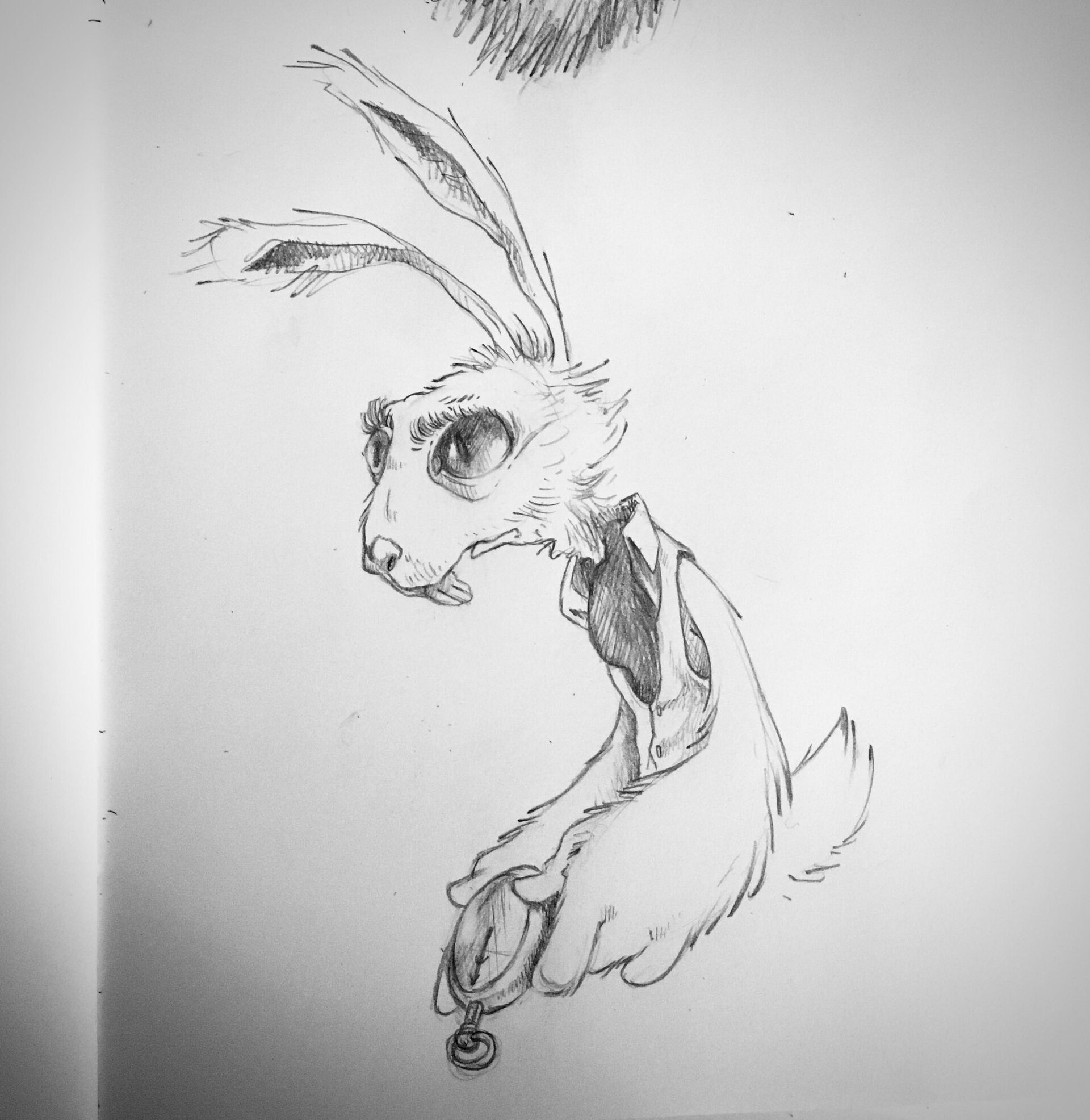 how to draw rabbit alice in wonderland