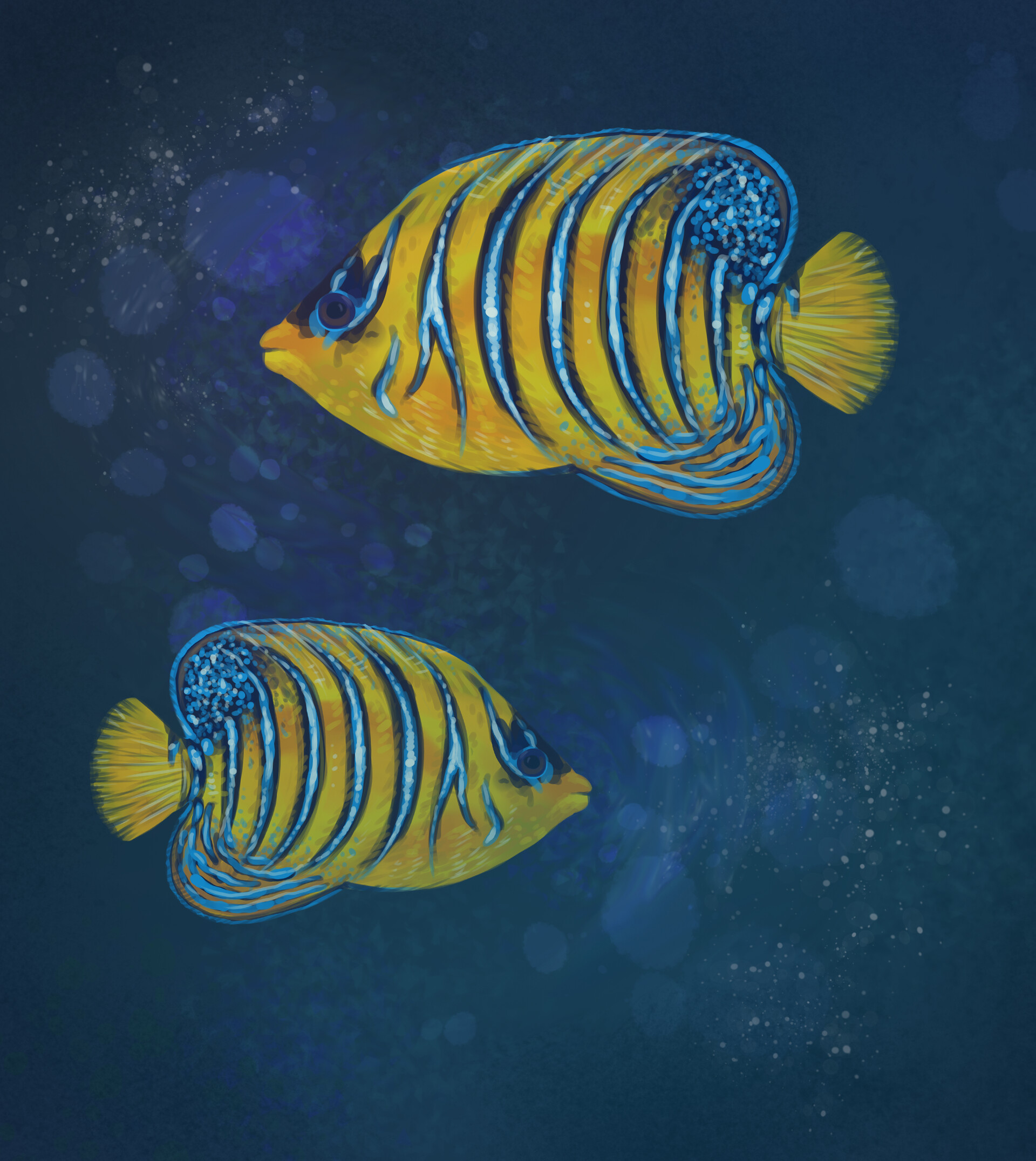 ArtStation - Tropical fish drawing