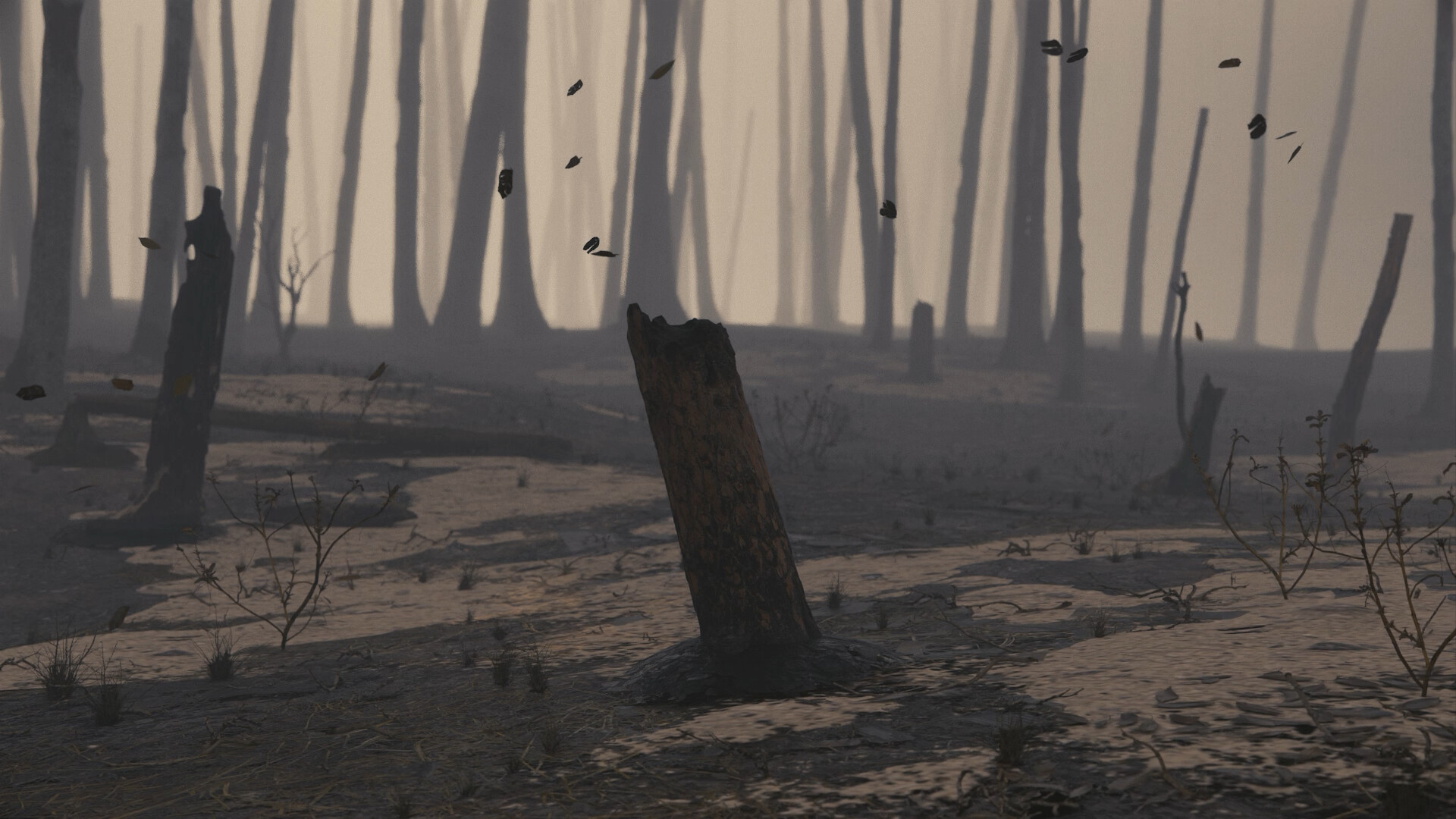 ArtStation - The Burnt Forest