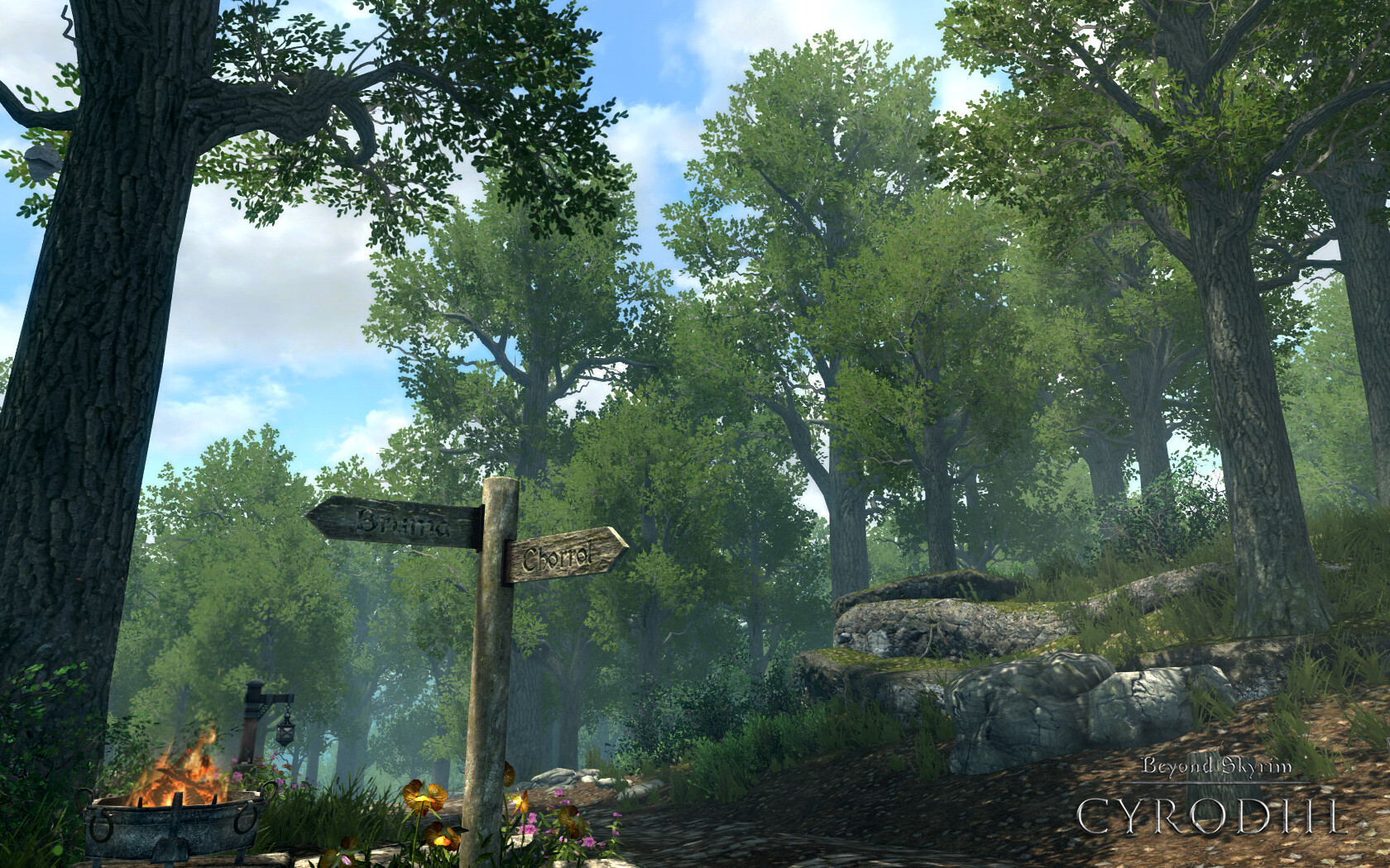 Oleg Gaidaev - Beyond Skyrim - Cyrodiil: Oak Trees