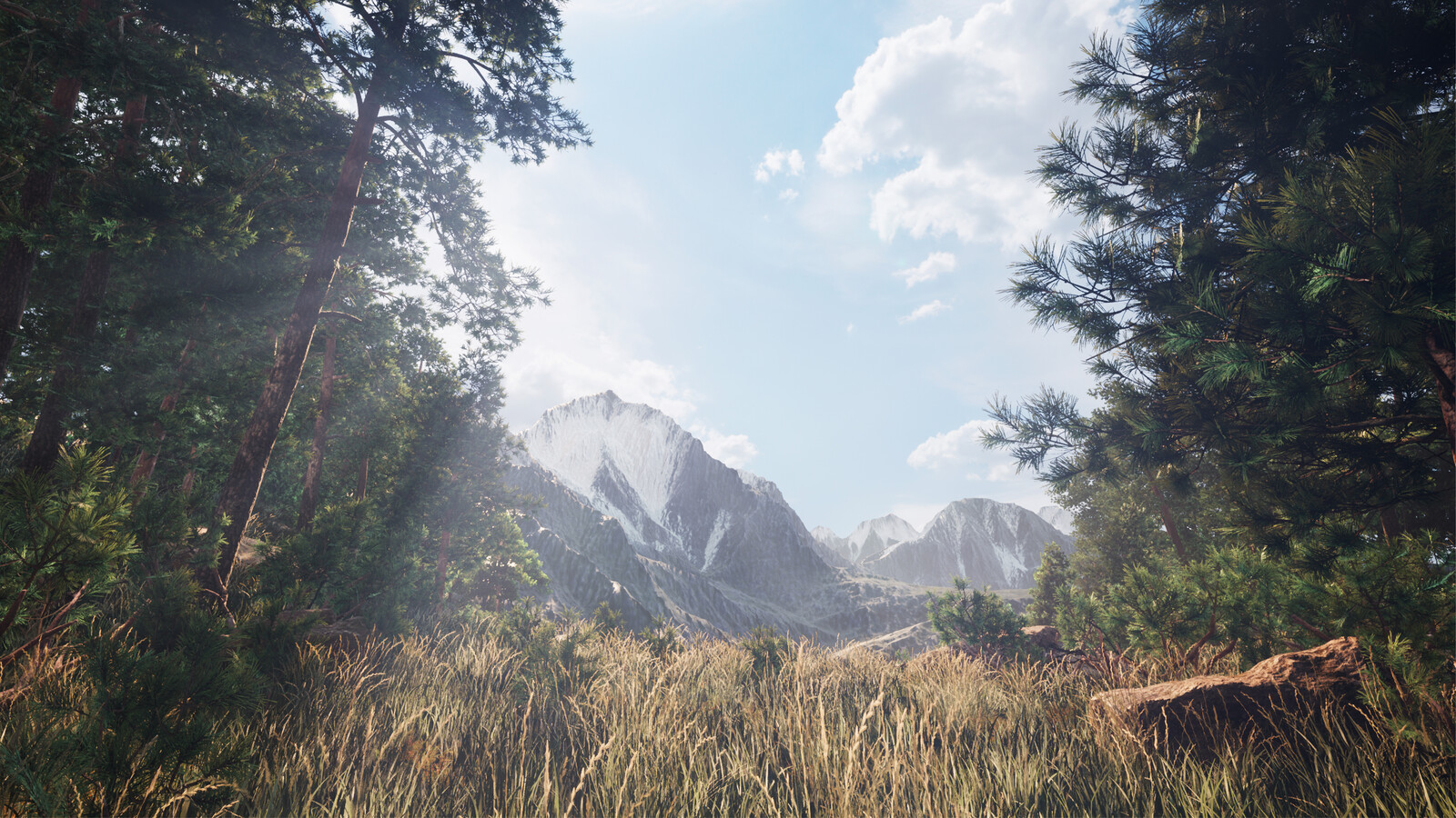 Xuwen Zheng - Snow Mountain Forest