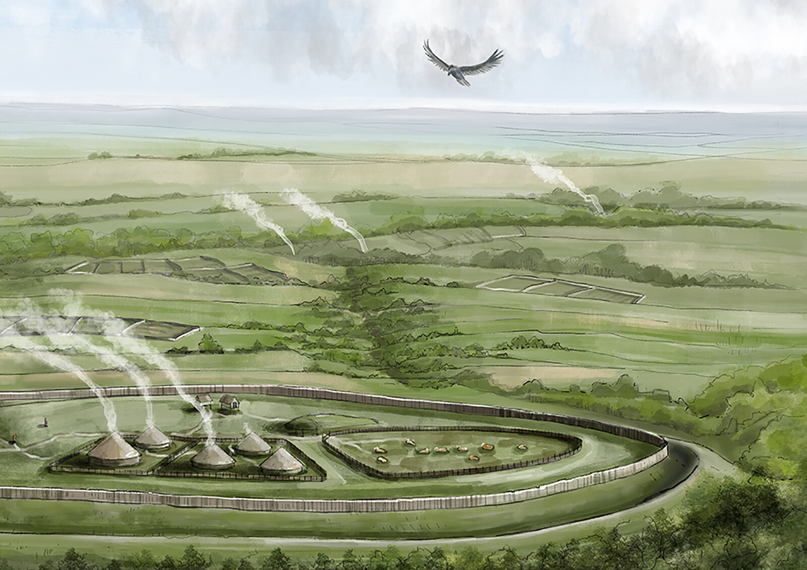 Wessex Archaeology - Iron Age hillforts in the Chiltern Hills, England