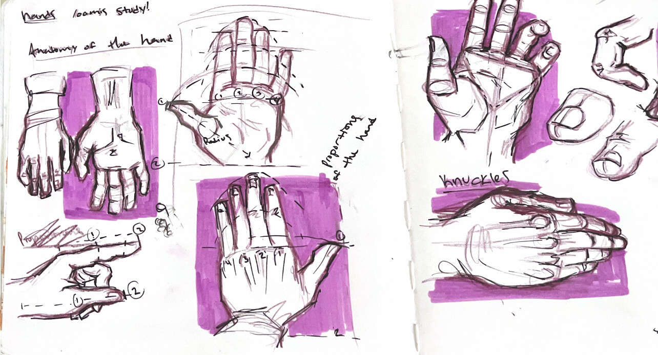 ArtStation - Anatomy of the Human Hand