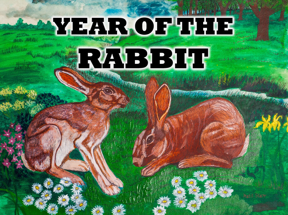 ArtStation - Year of the Rabbit