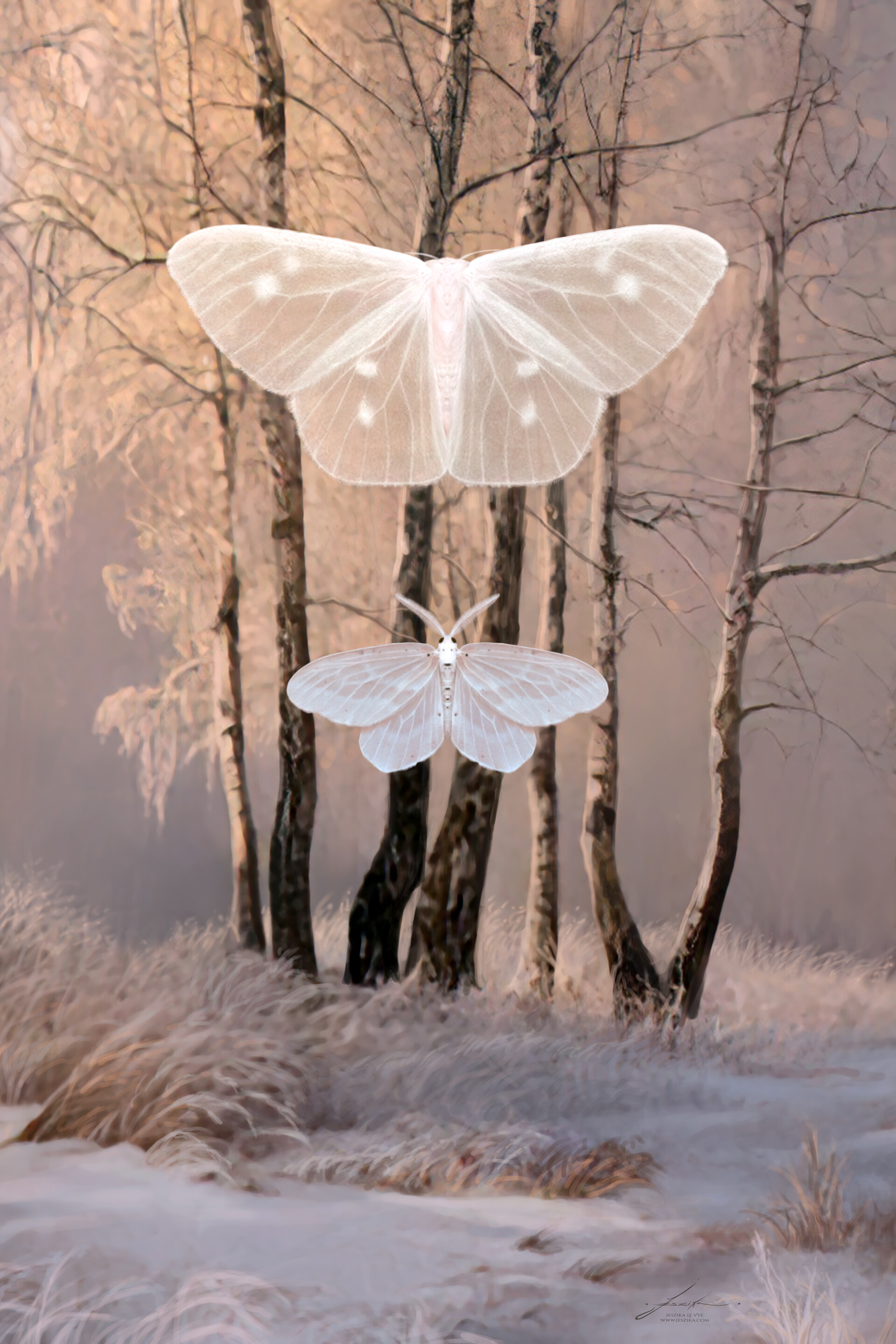Jeszika Le Vye - Winged Meditation: Crystalline Dawn