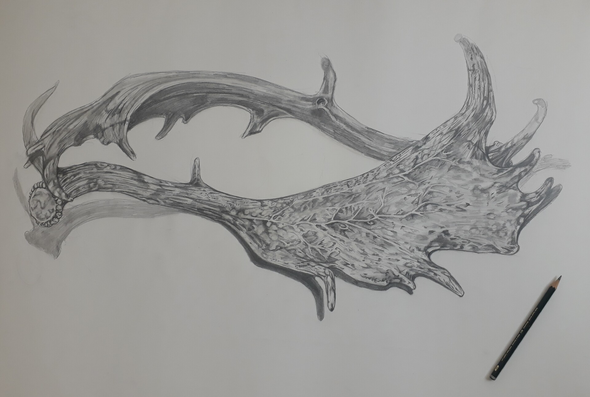 nikola middlemast - Fallen Fallow