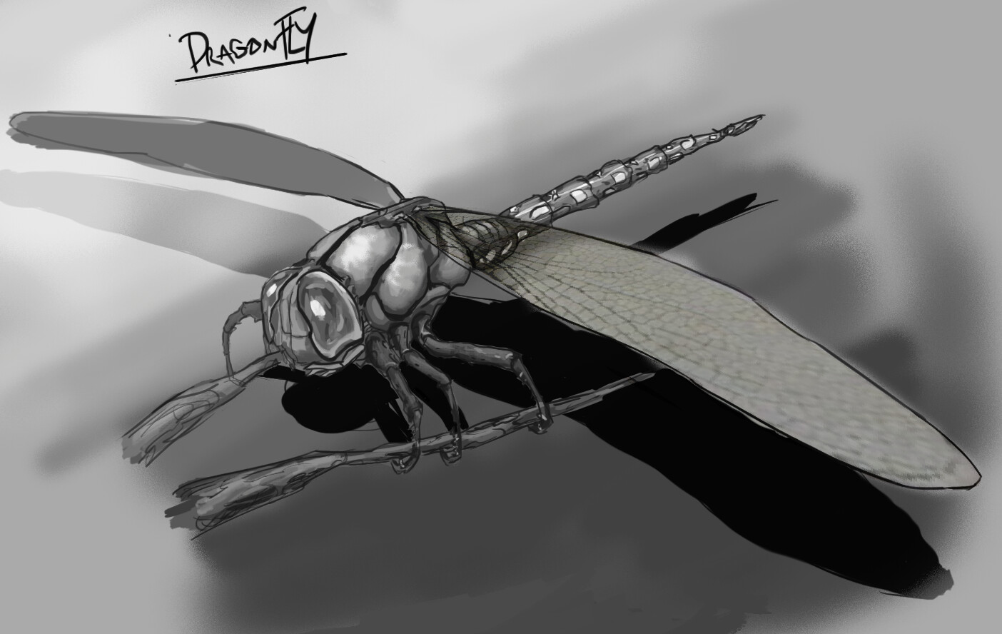 ArtStation - Insects in perspective