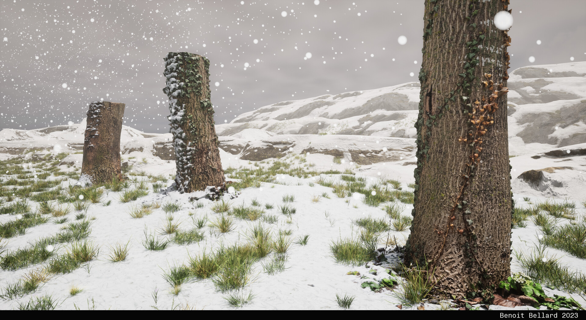 ArtStation - Tree Photogrammétrie ue5 Niagara