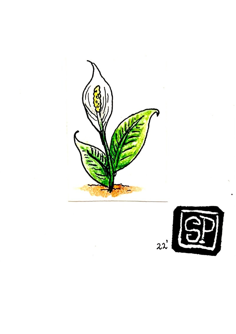 ArtStation - Steve P