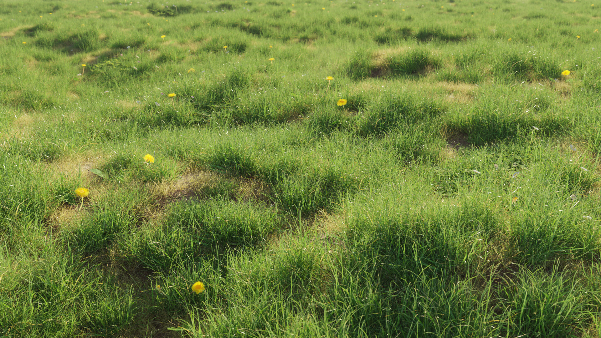 ArtStation - Grass Field