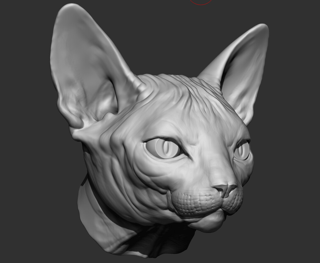 ArtStation - Cats head (3Dcember challenge) Speedsculpt