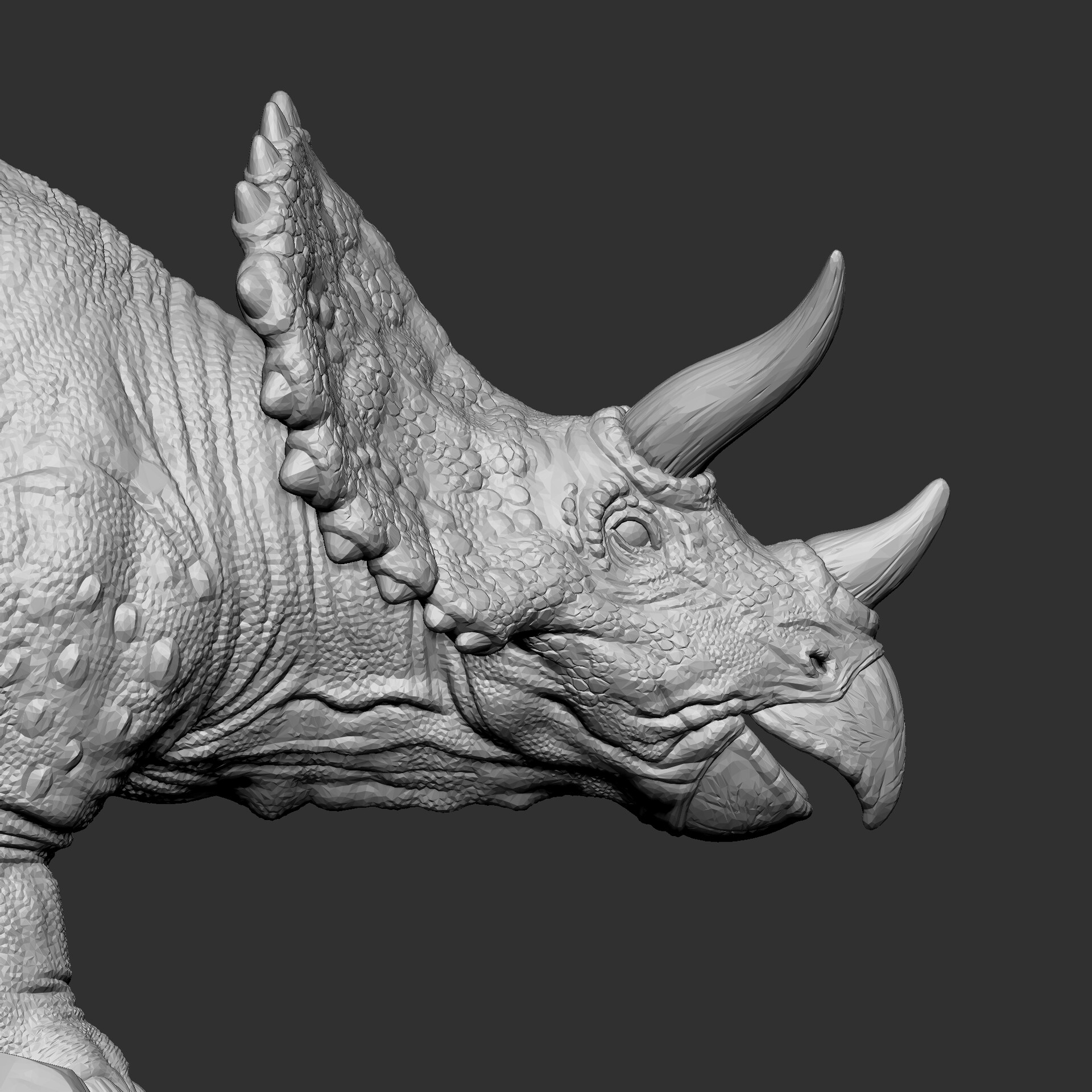 YD STUDIO - TRICERATOPS